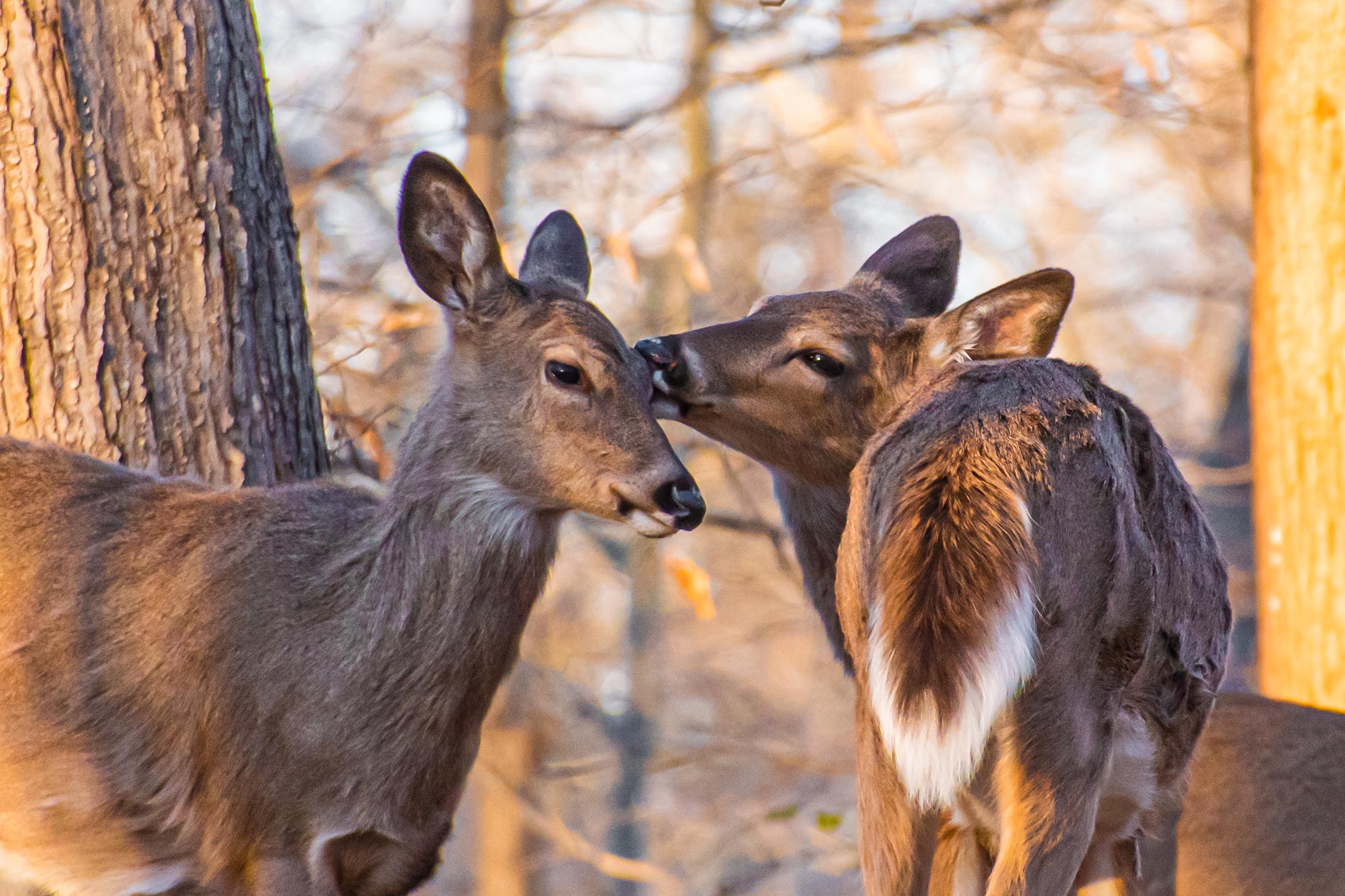 Be kind to one another | Scrolller