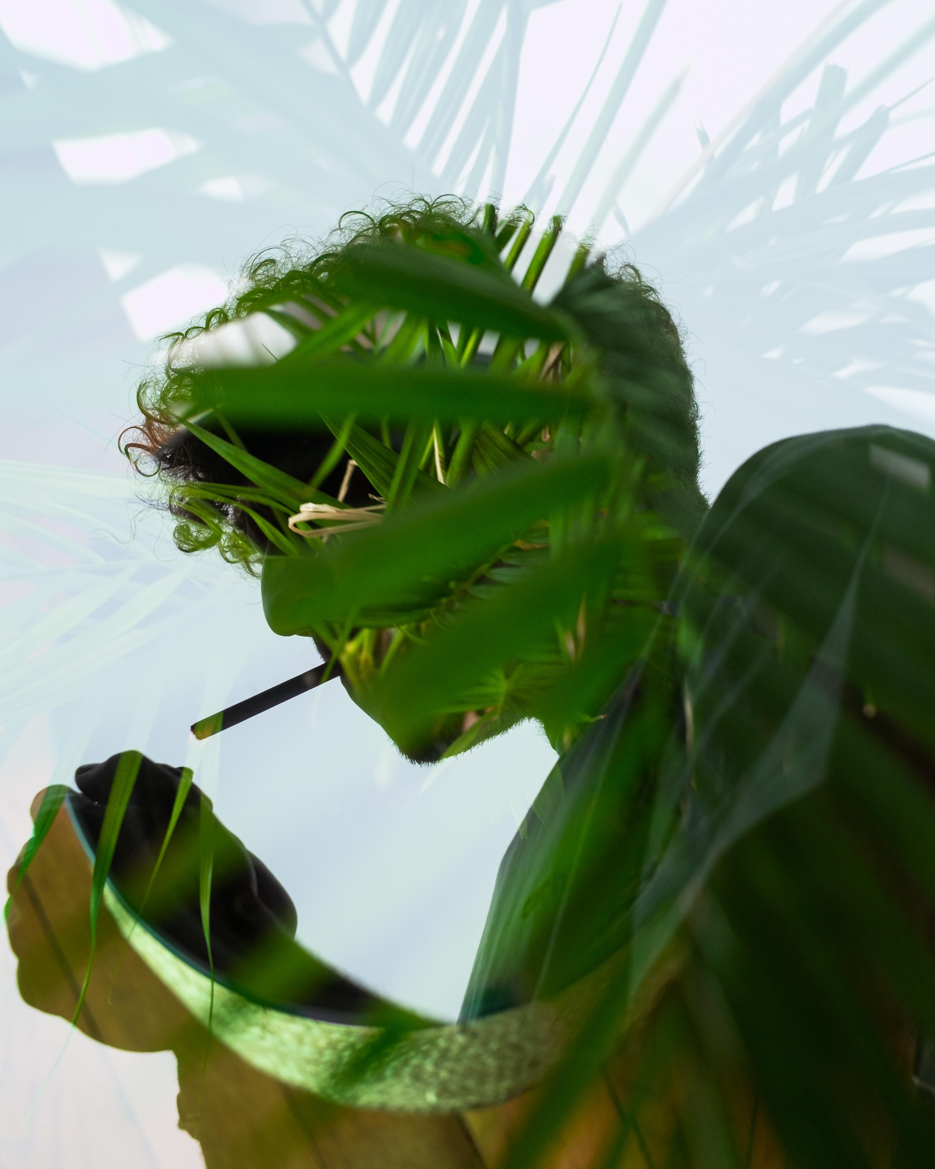 Leaf portrait | Scrolller