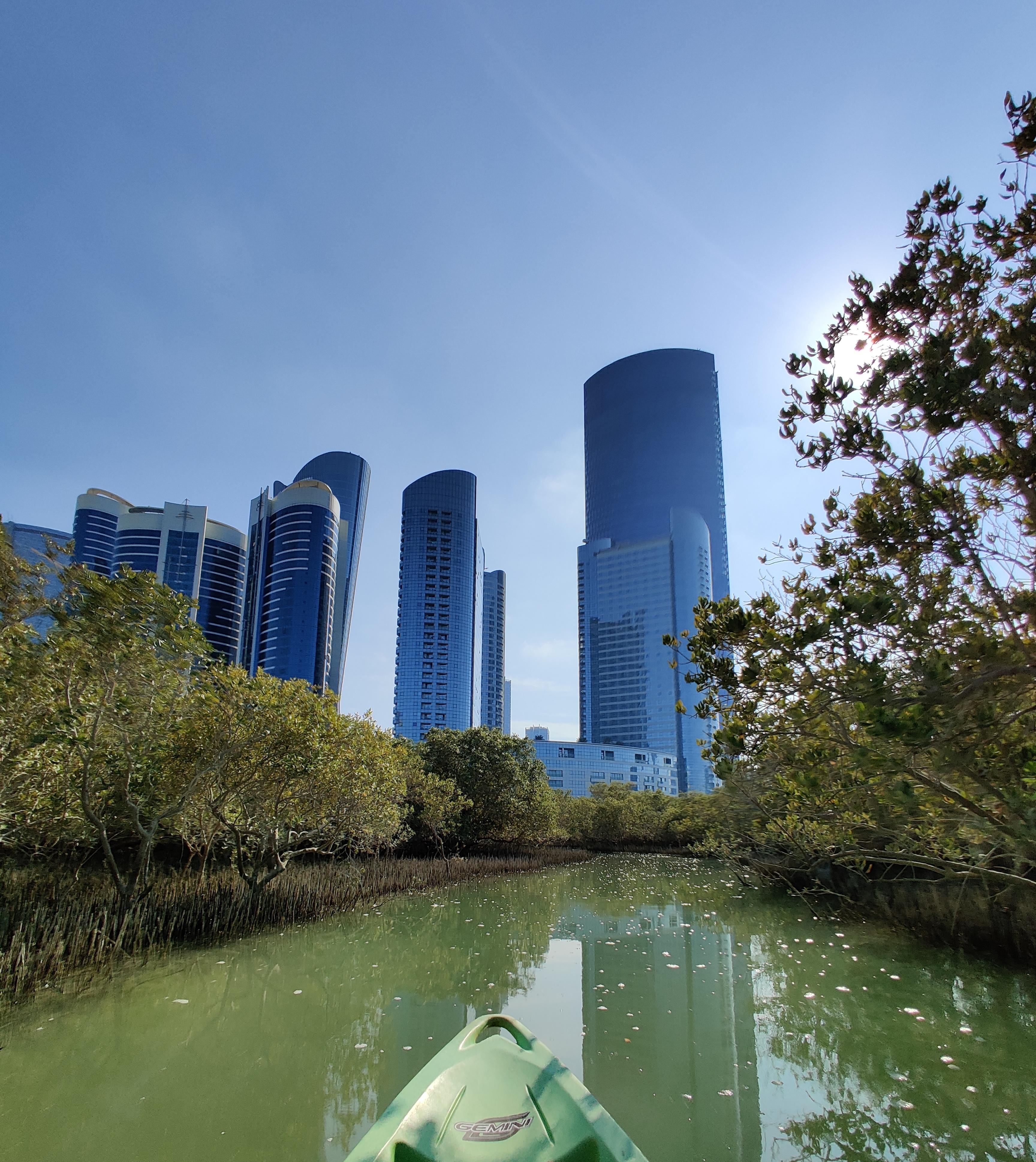 ITAP of a mangrove lake | Scrolller
