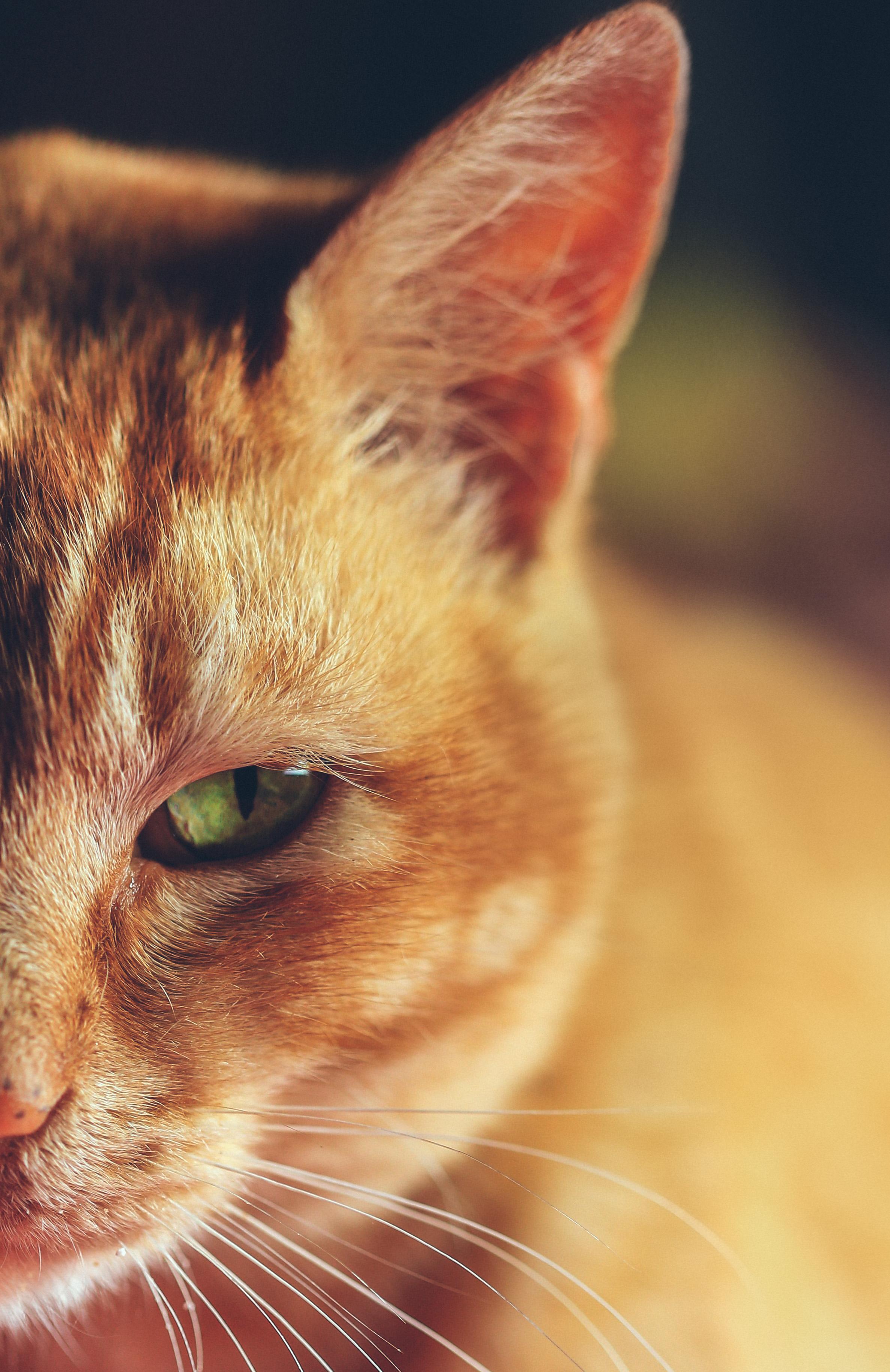 ITAP of an intense stare | Scrolller