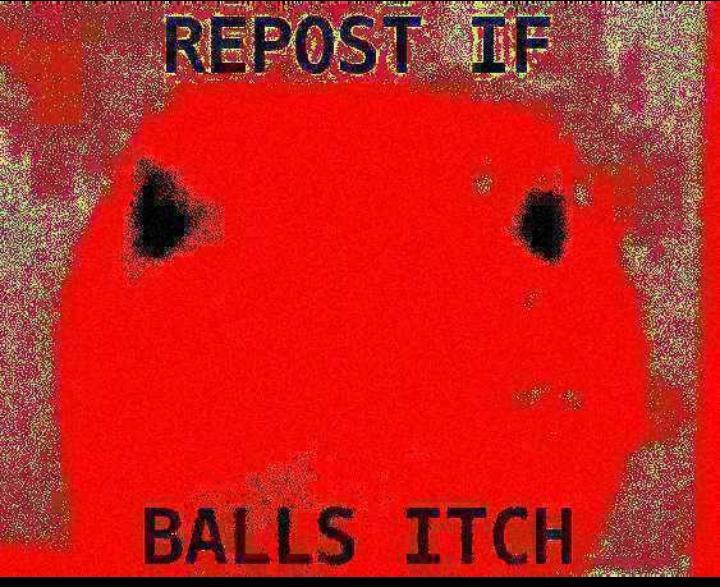 Itch scratch | Scrolller