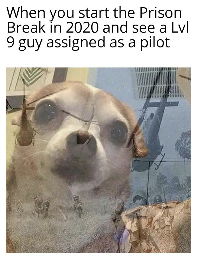 It's 2020 and the Velum still gets destroyed. | Scrolller