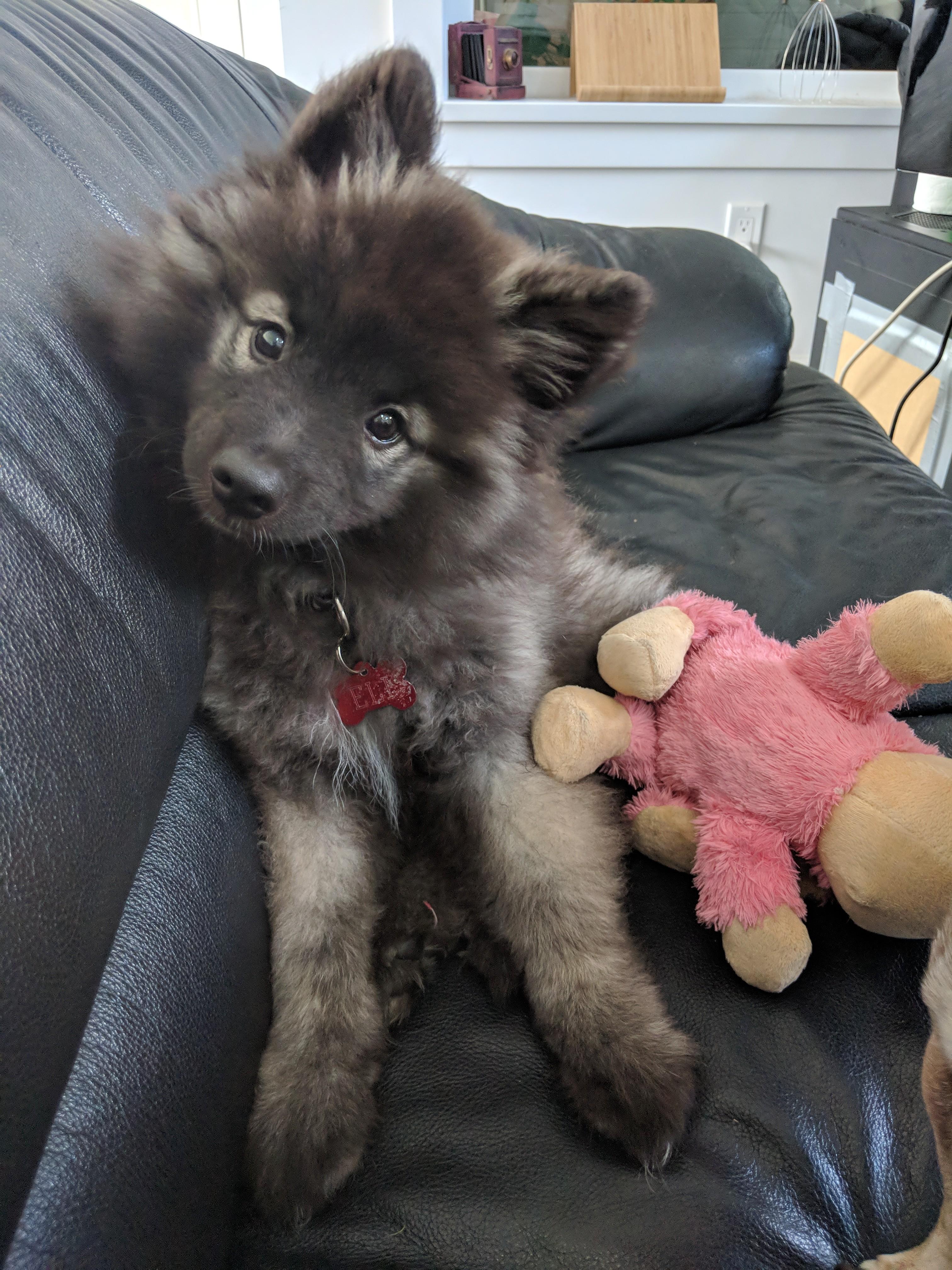 It's a good thing he's cute... | Scrolller