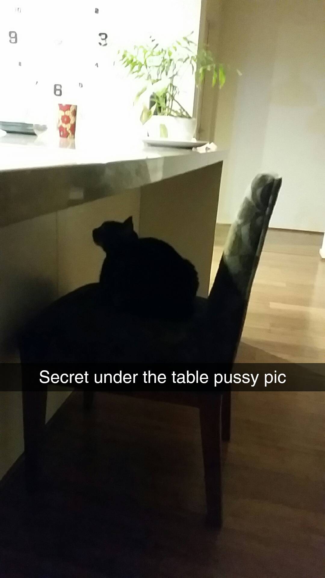 Its a secret shhhh | Scrolller