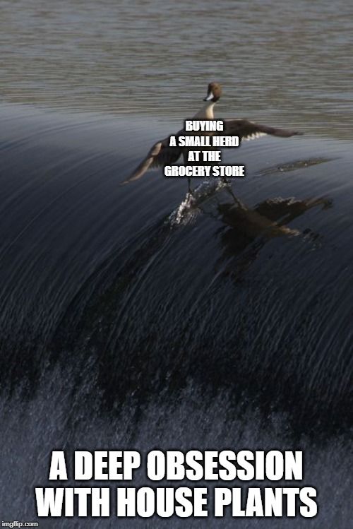 Its a slippery slope folks | Scrolller