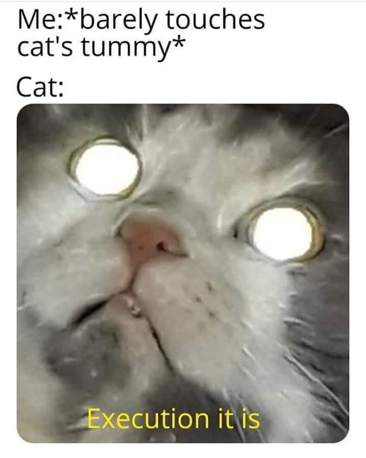 Its A Trap Scrolller