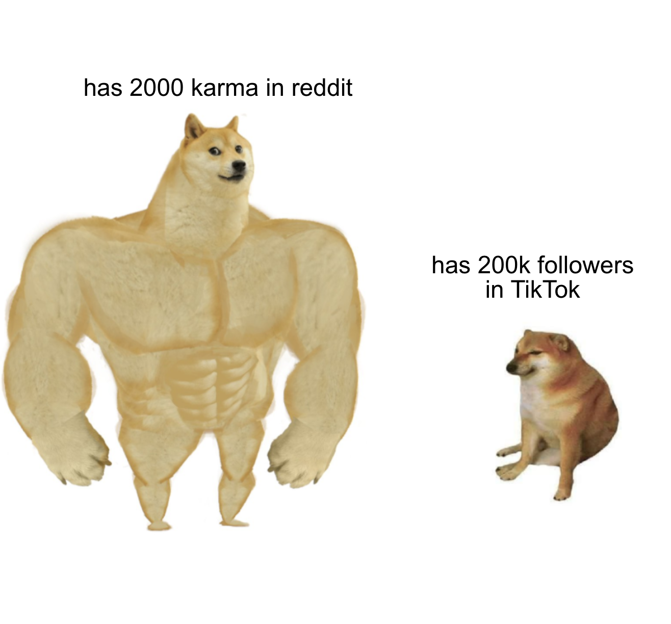 It's Acceptable ... | Scrolller