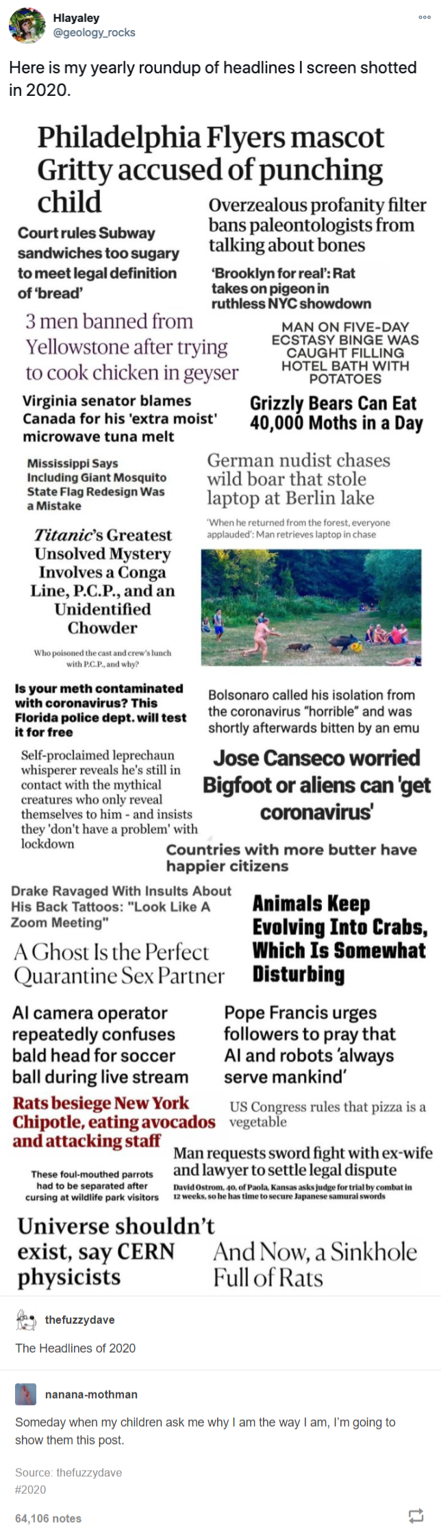 It's been a wild ride | Scrolller