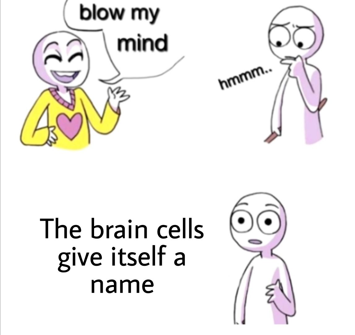 It's big brain time | Scrolller