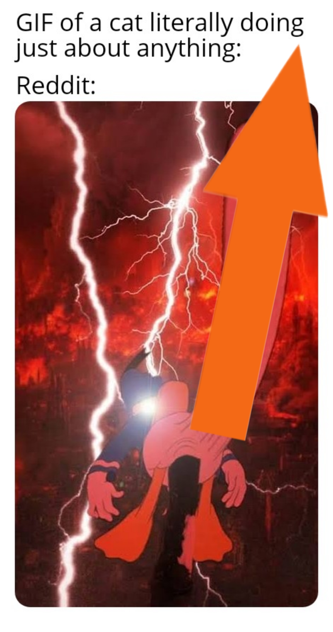 It's called GIF | Scrolller