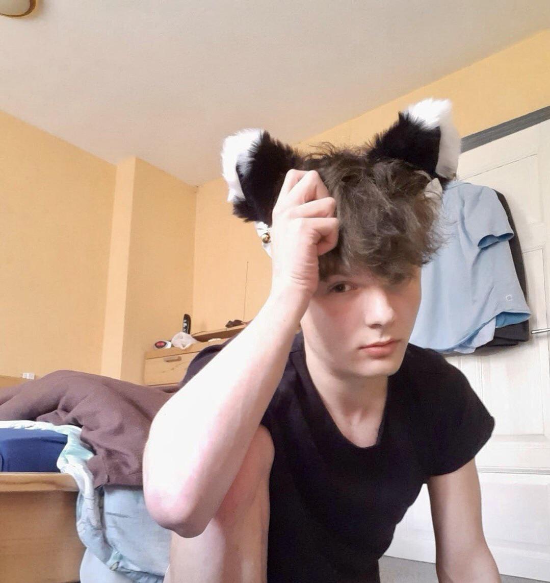 Its catboy Tuesday | Scrolller