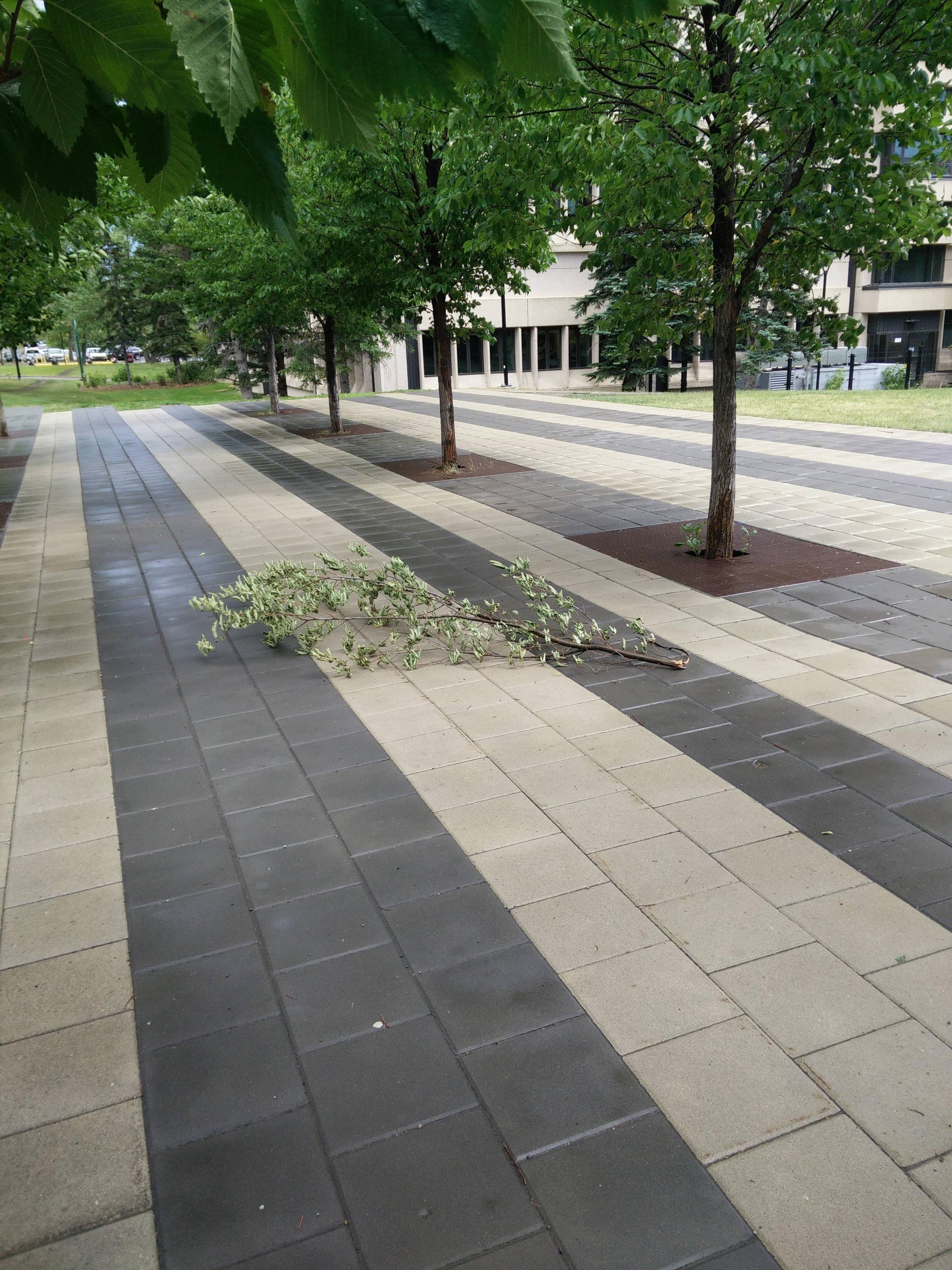 It's chaos!!!! | Scrolller