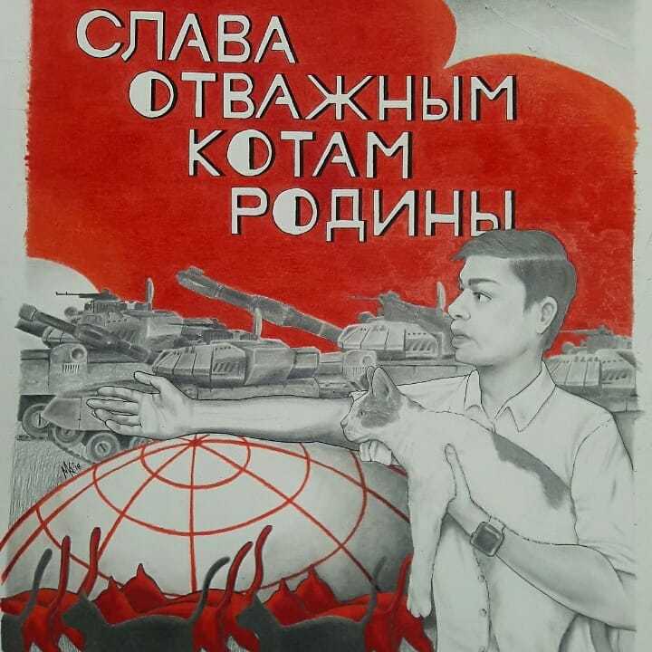 It's completed | Scrolller