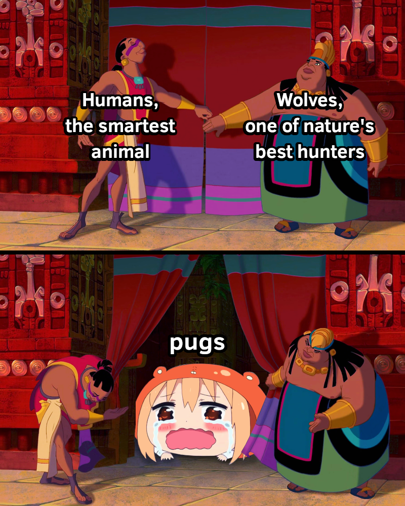 It's evolving, just backwards | Scrolller