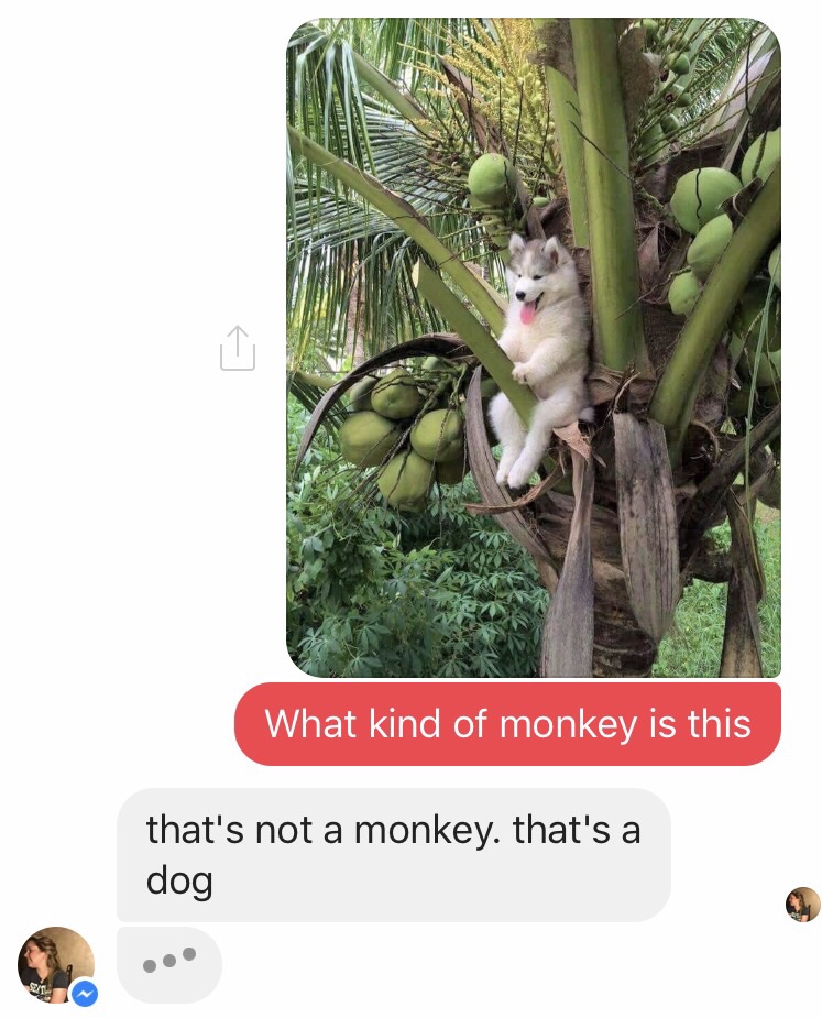 It's not a monkey... | Scrolller