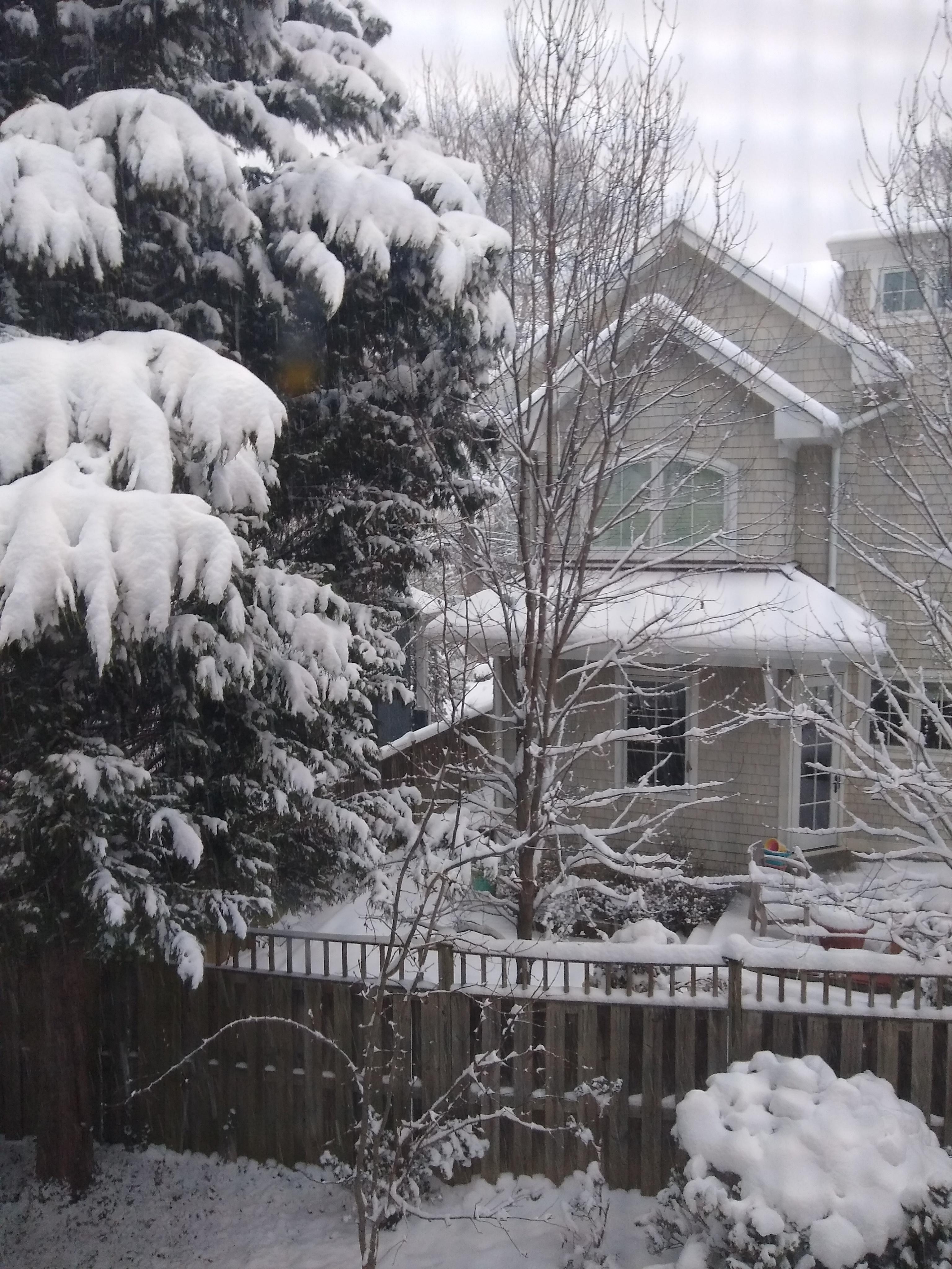 It's the first time we've had more than a foot of snow in a few years! I am excite. | Scrolller