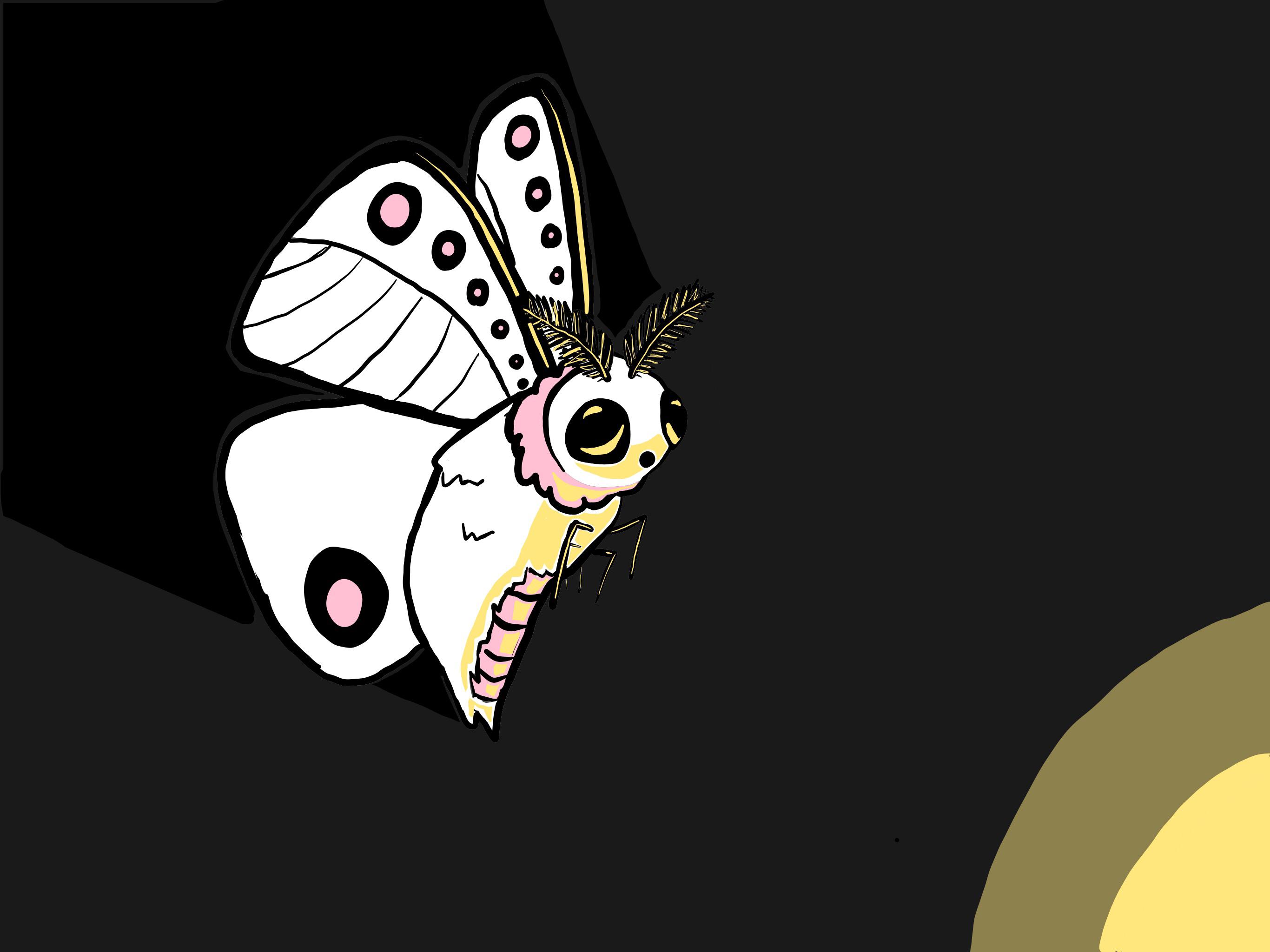 Ive been getting back into art, had to draw a moth | Scrolller