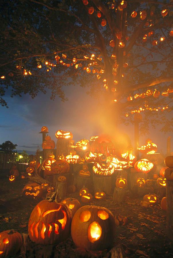 Jack O' Lantern Tree 🎃 | Scrolller