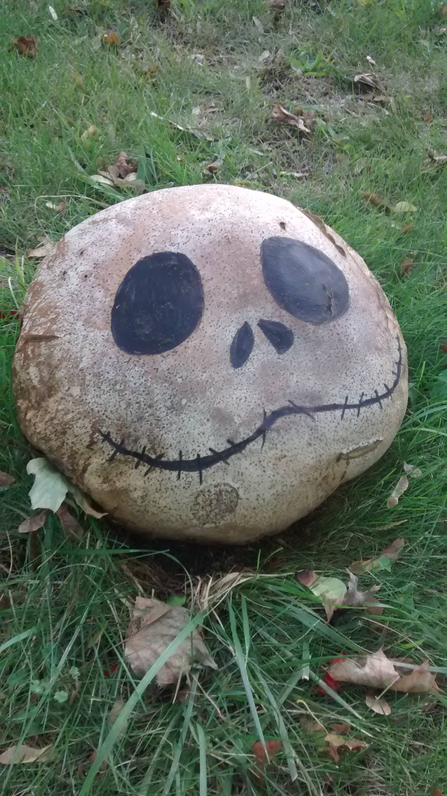 Jack, the Puffball king | Scrolller