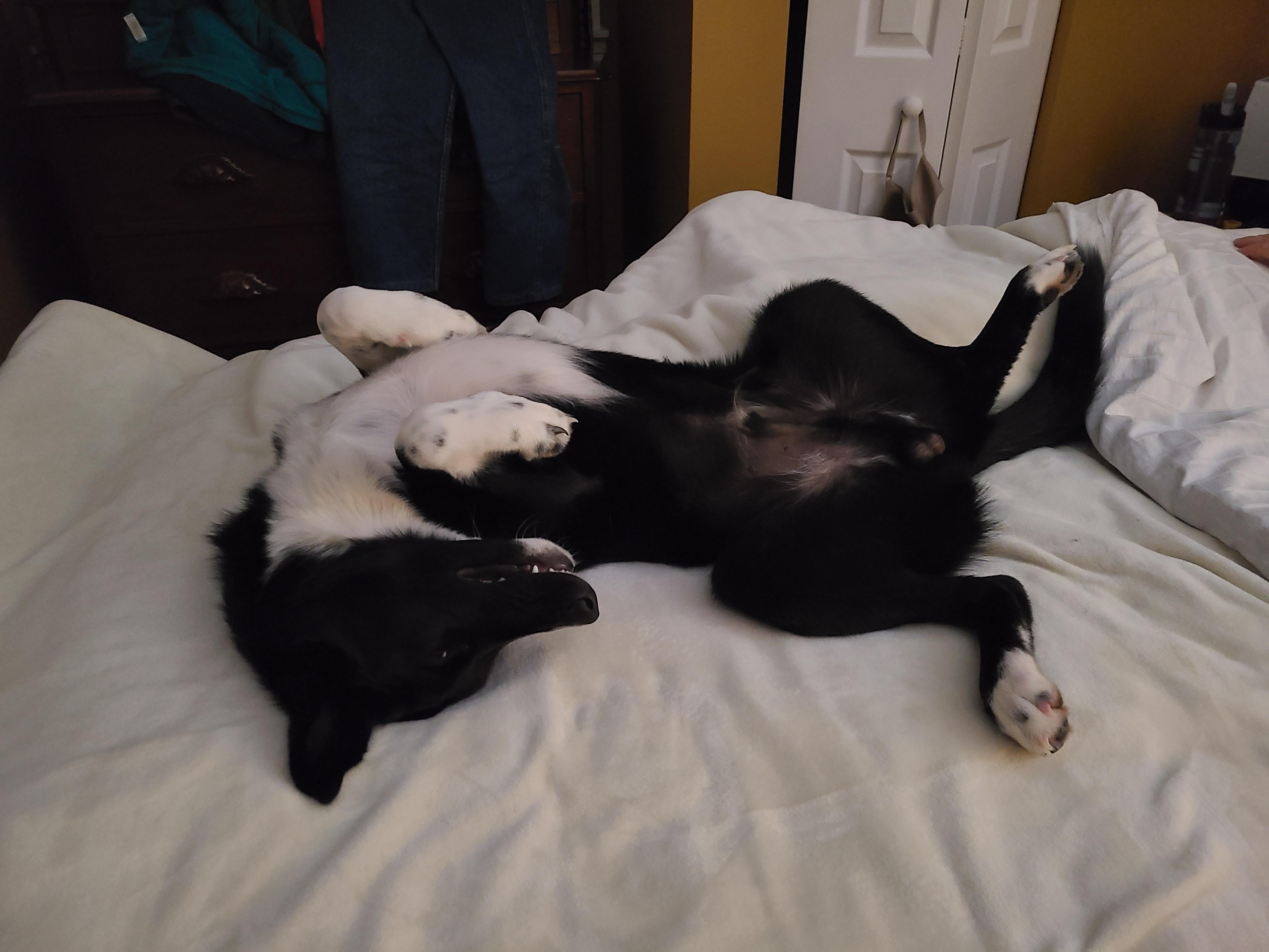 Jake doing his best Burt Reynolds | Scrolller