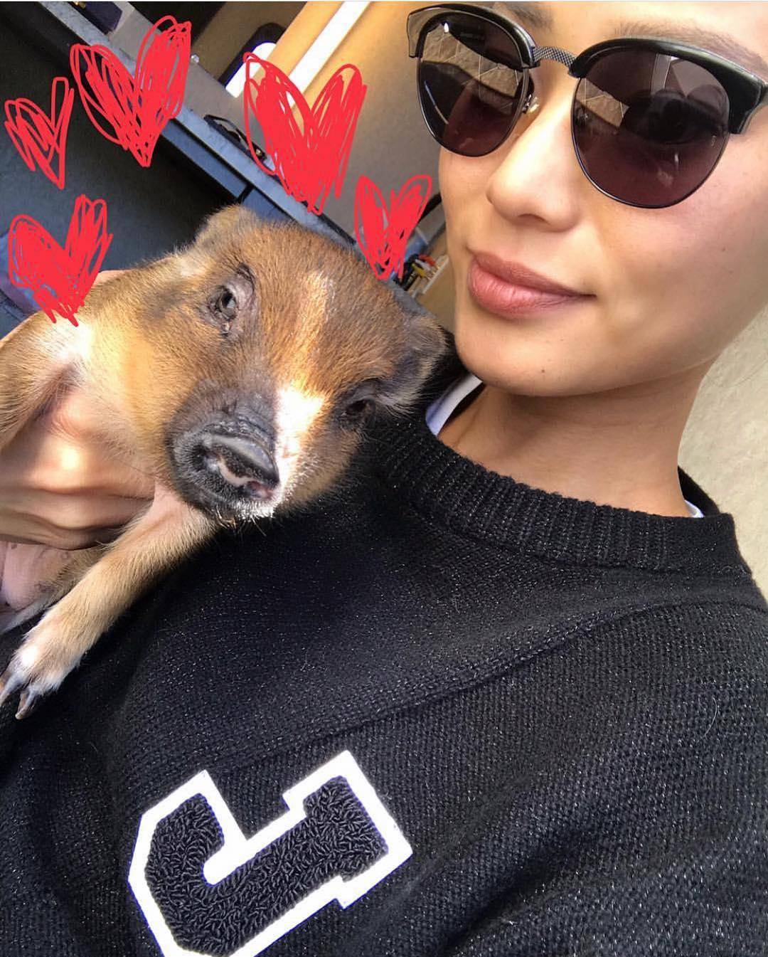 Jamie with a pig | Scrolller