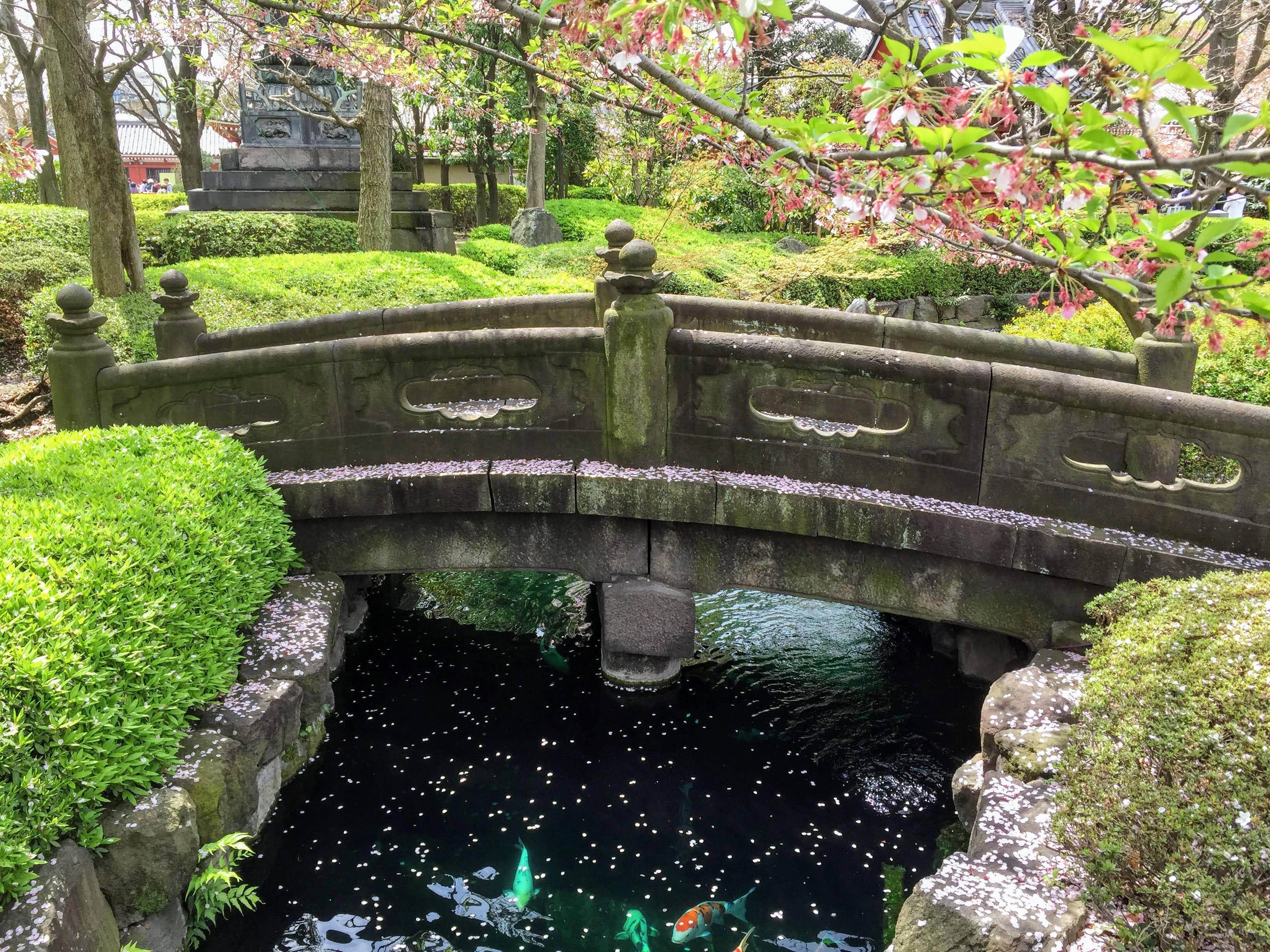 Japan - Tokyo - The small bridge in Asakusa | Scrolller