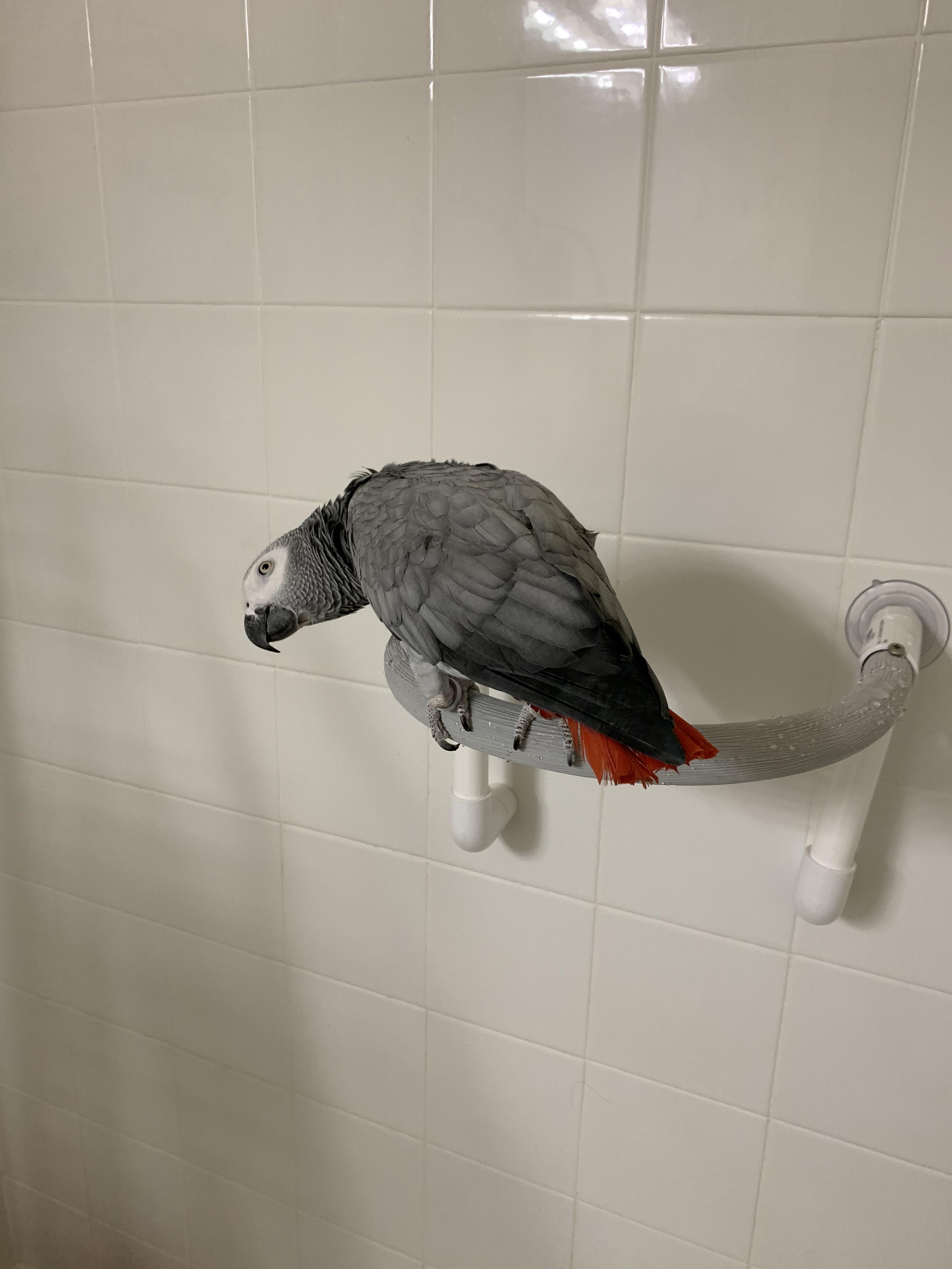 Jaz thinks showers seem pretty sus | Scrolller