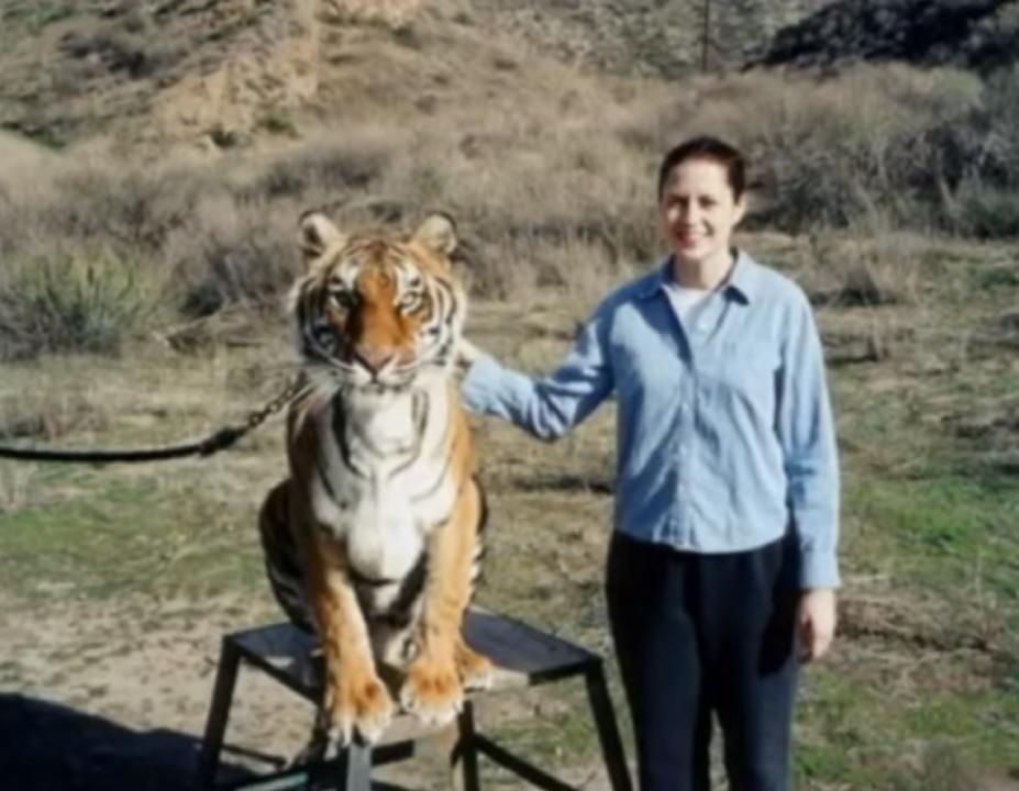 Jenna the Tiger Queen! (Lollilove, 2004) | Scrolller