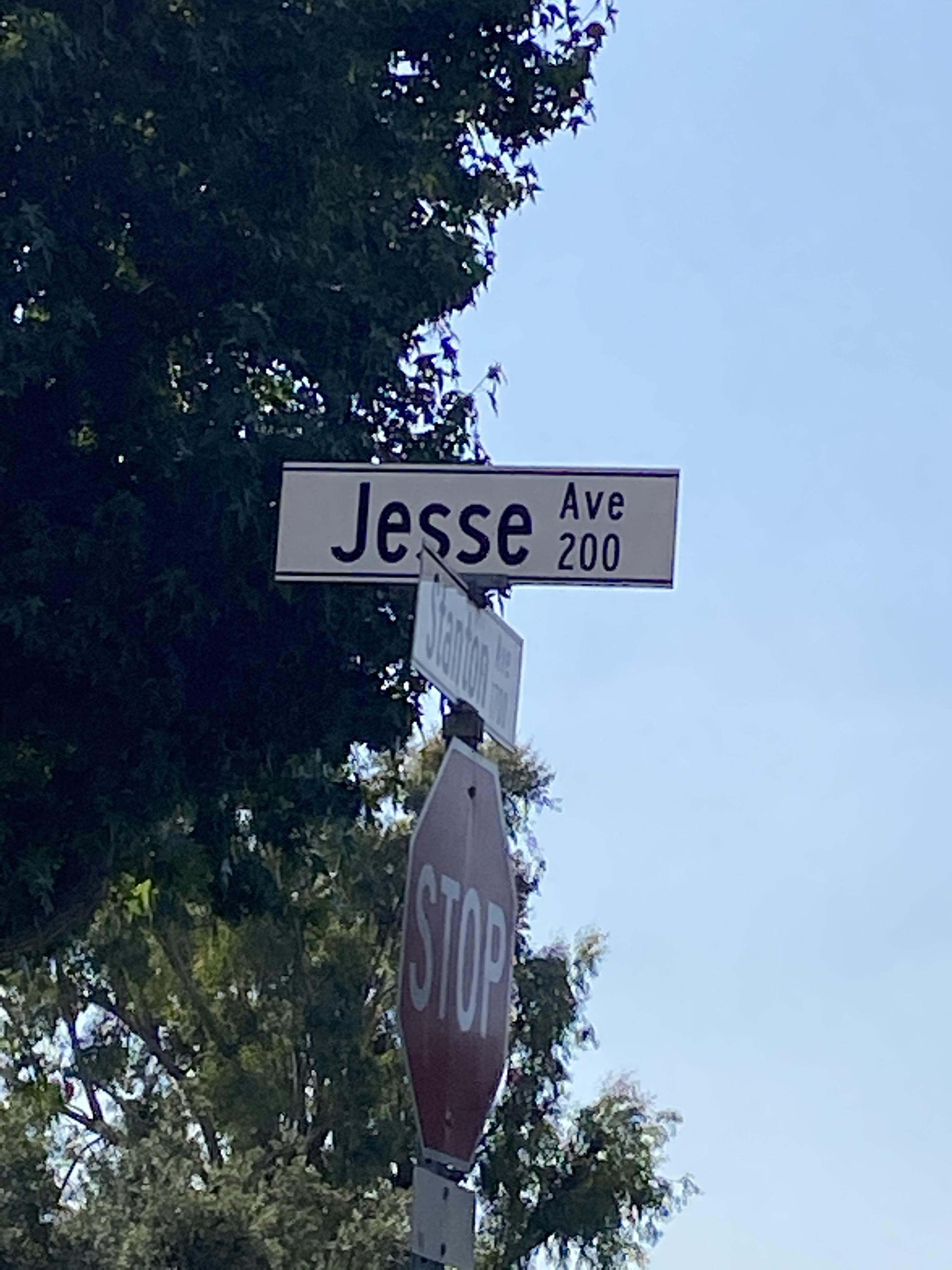 Jesse Avenue | Scrolller