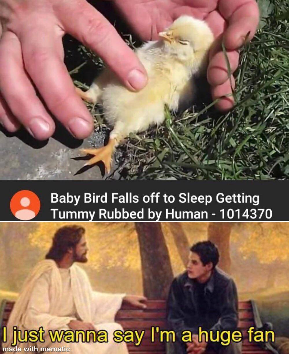 Jesus approves | Scrolller