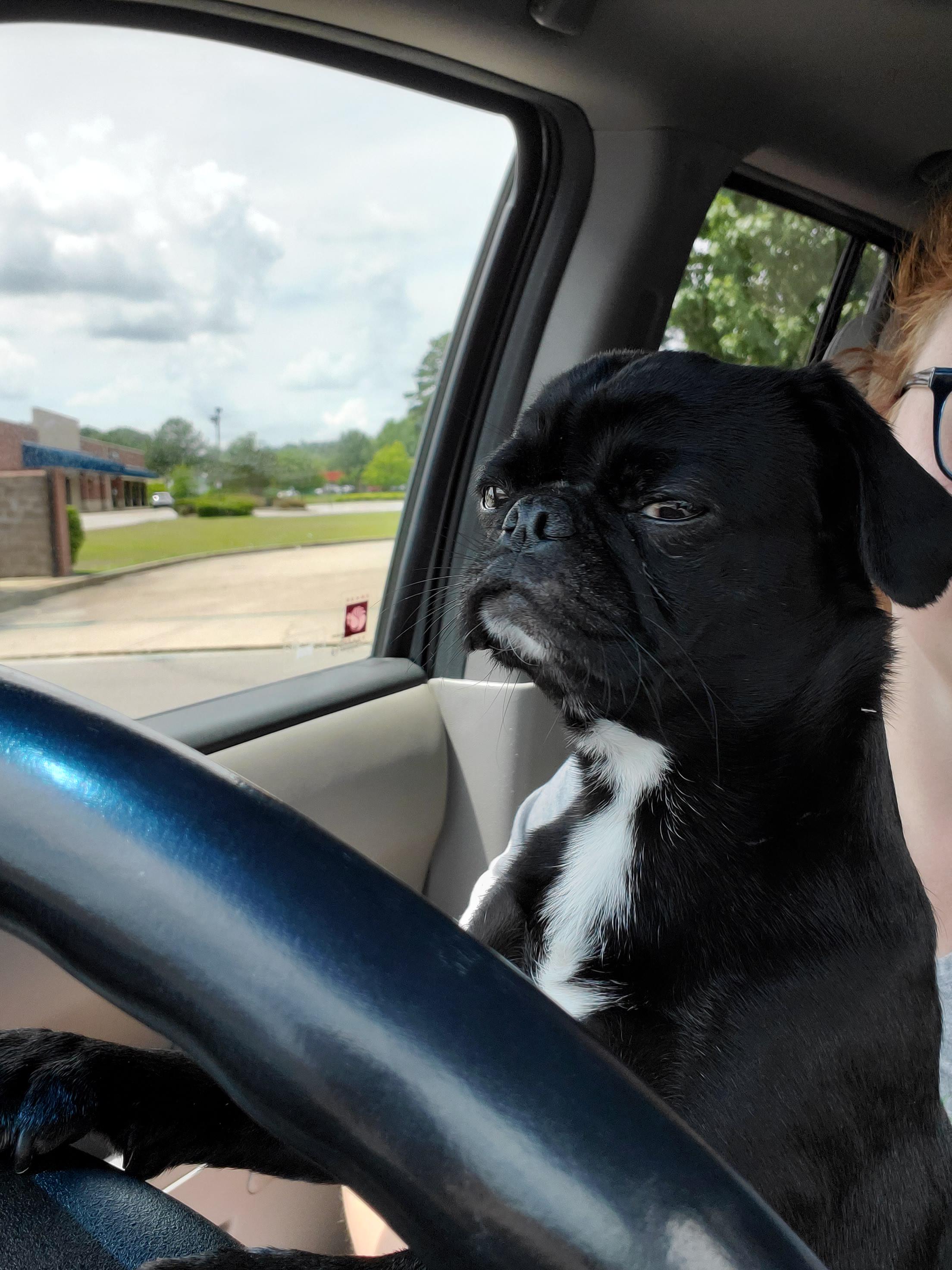 Jesus take the wheel! | Scrolller