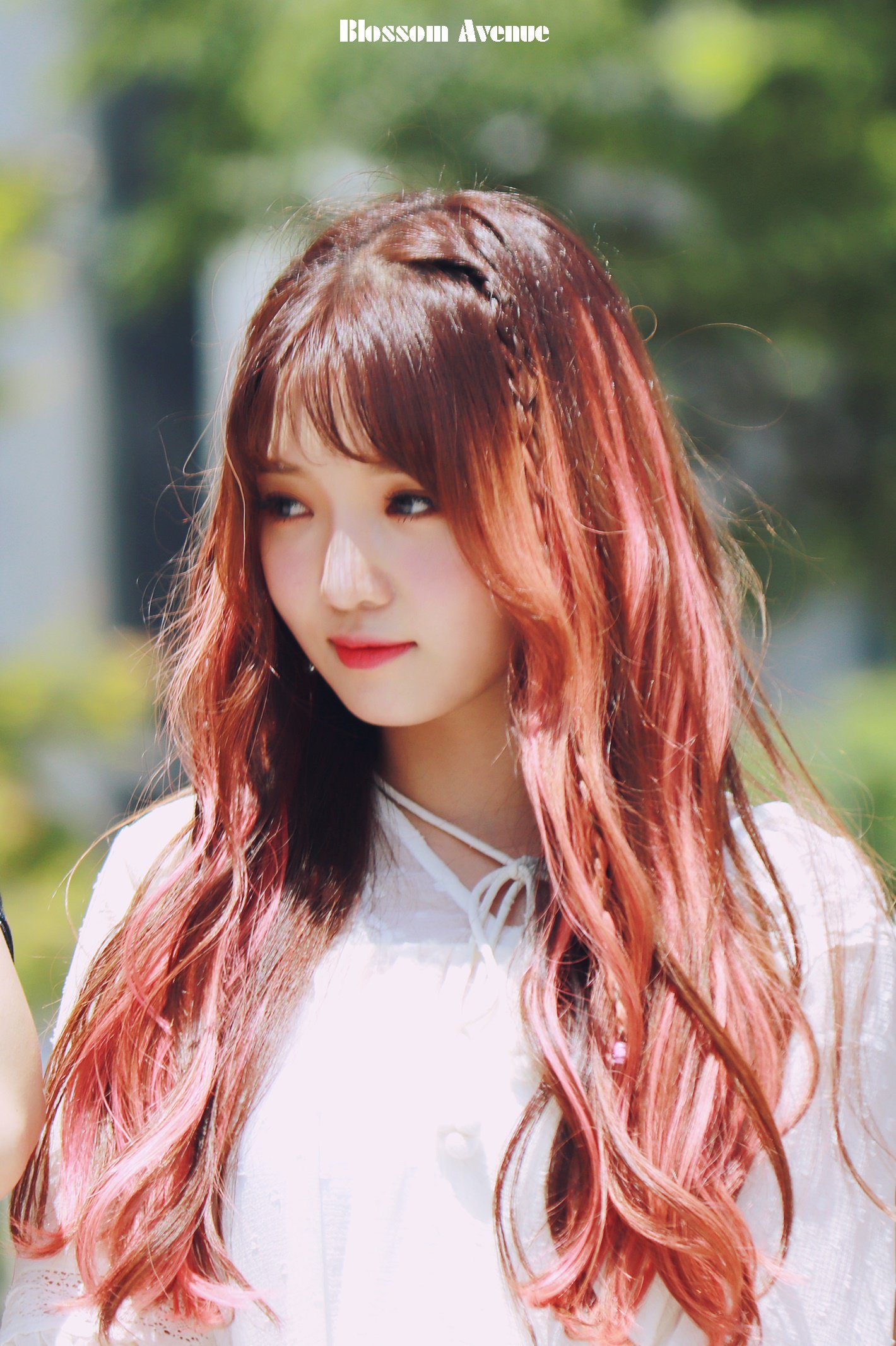 Jisun being an absolute masterpiece | Scrolller