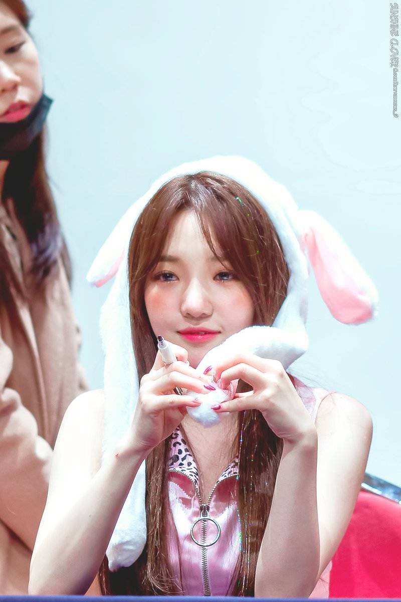 Jisun bunny ears | Scrolller