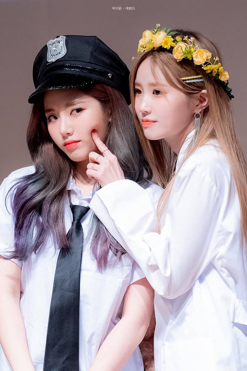 Jiwon poke | Scrolller