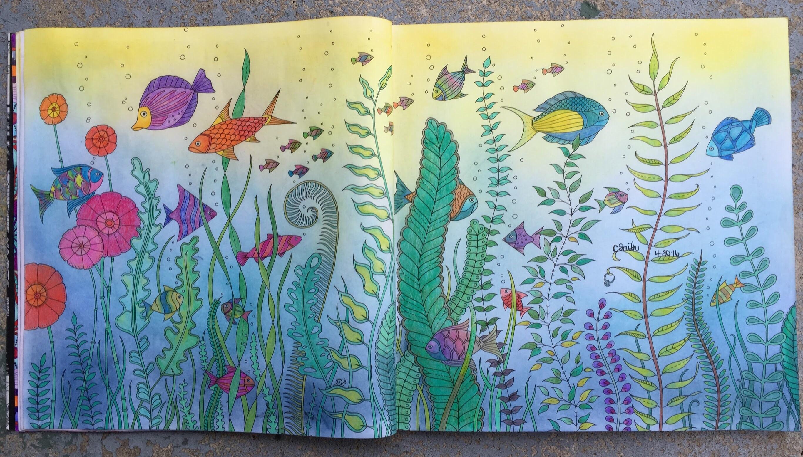 Johanna Bradford - Lost Ocean | Scrolller