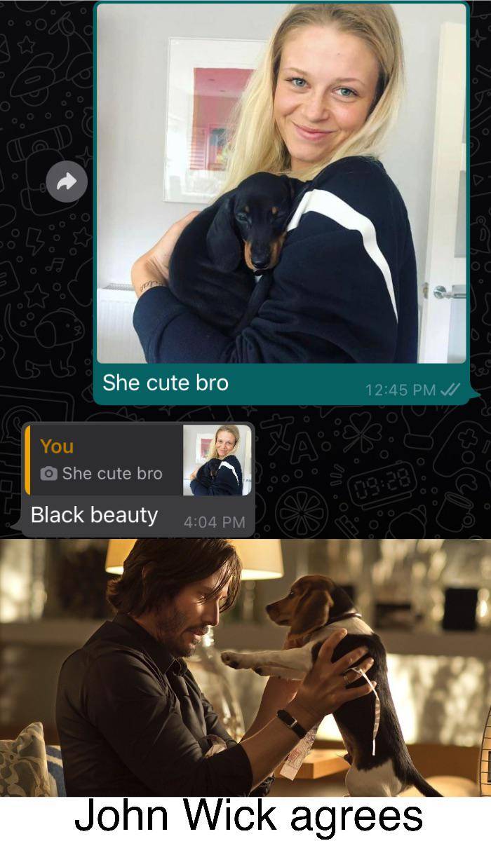 John Wick definitely does agree. | Scrolller