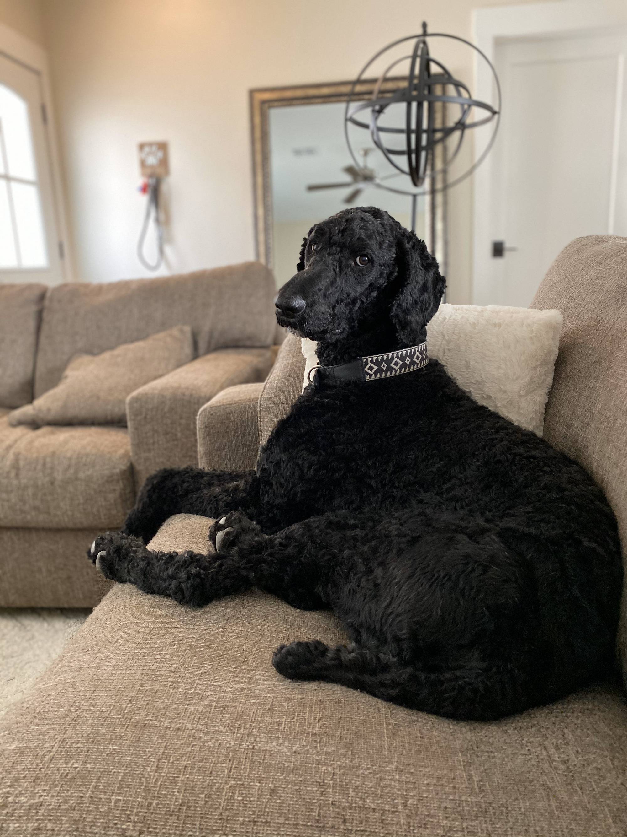 Judging me silently... | Scrolller