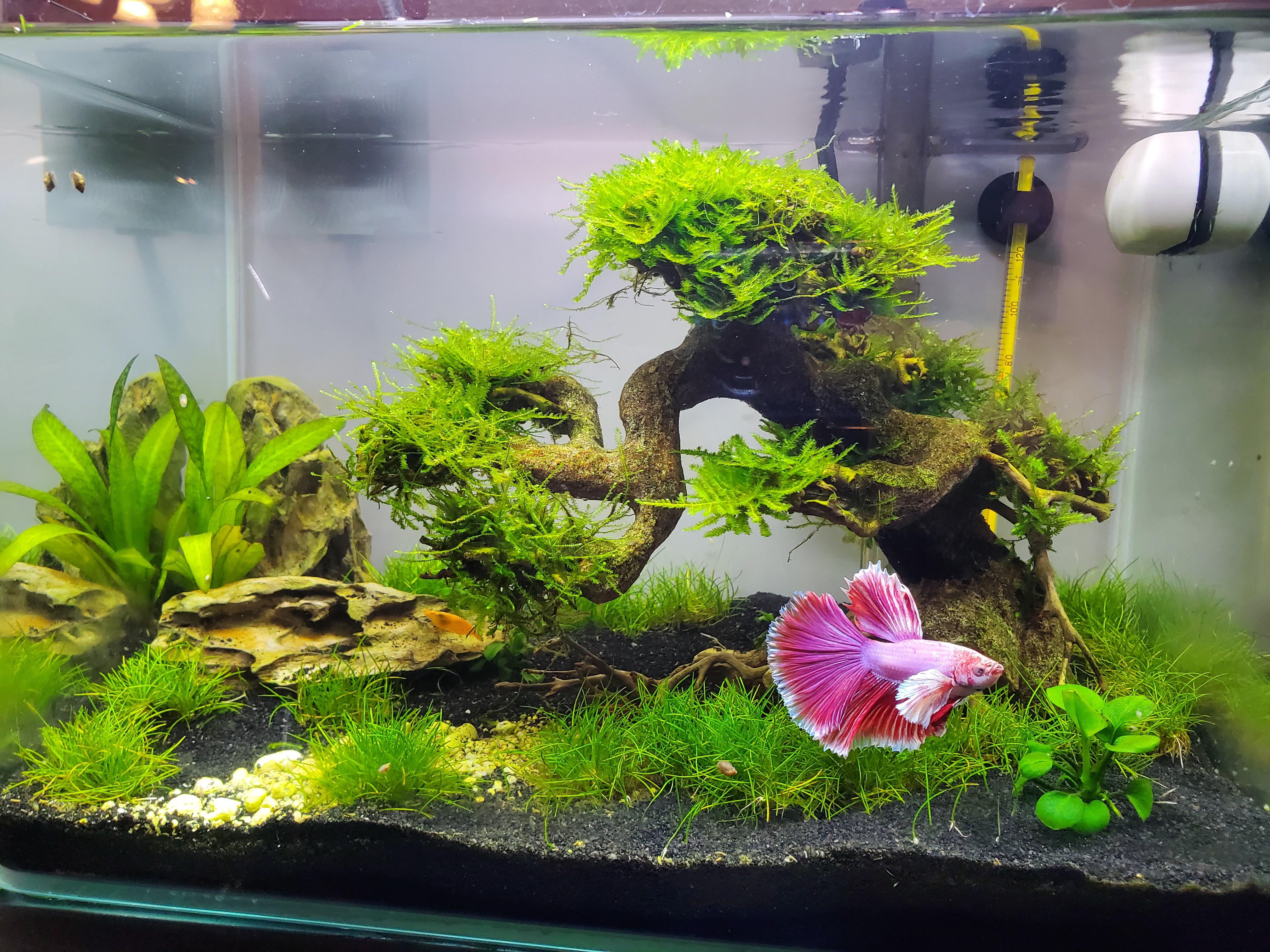 Julian finally posing for the picture | Scrolller