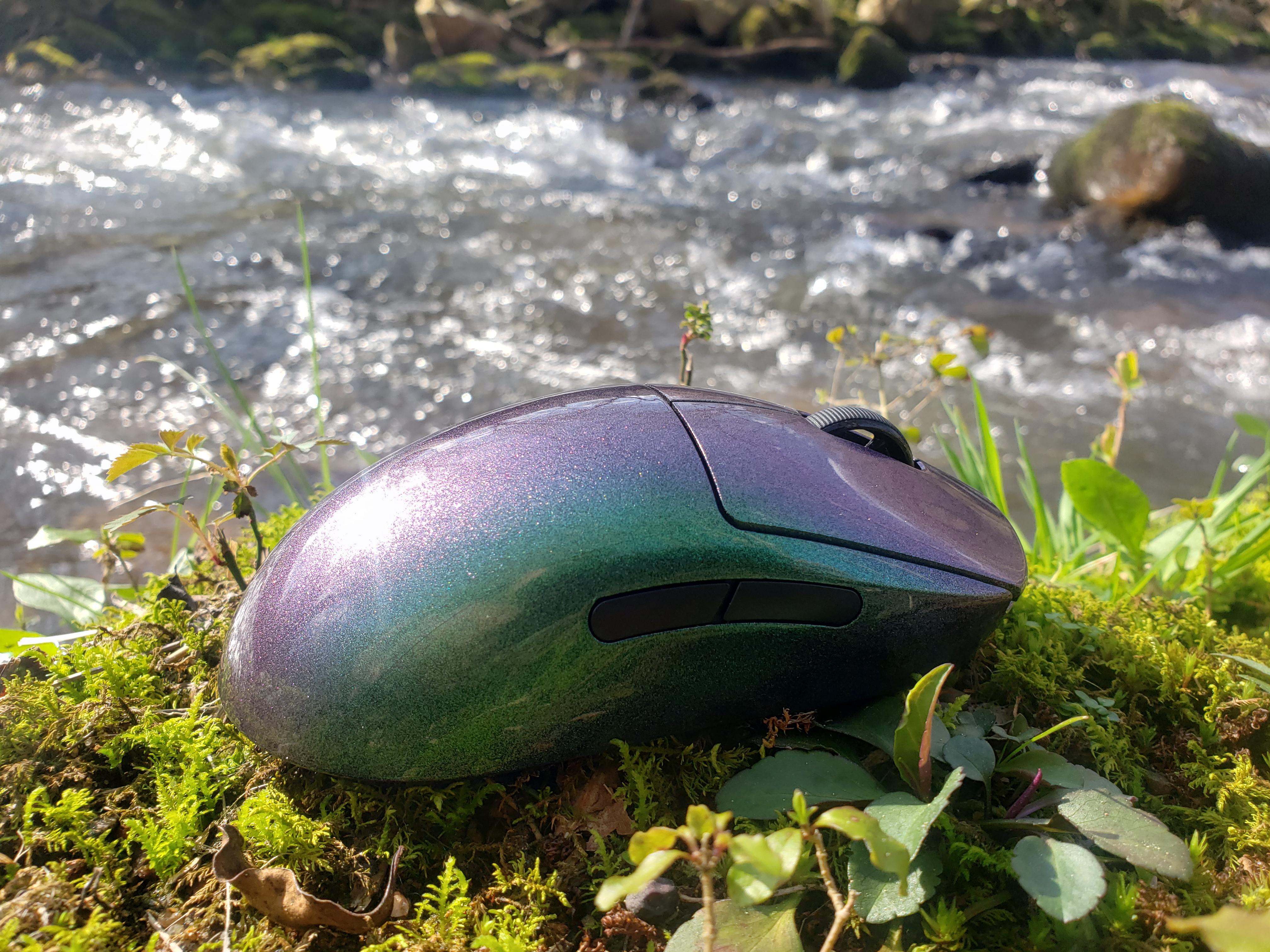 Junebug GPW in the wild-Full pics in comments | Scrolller