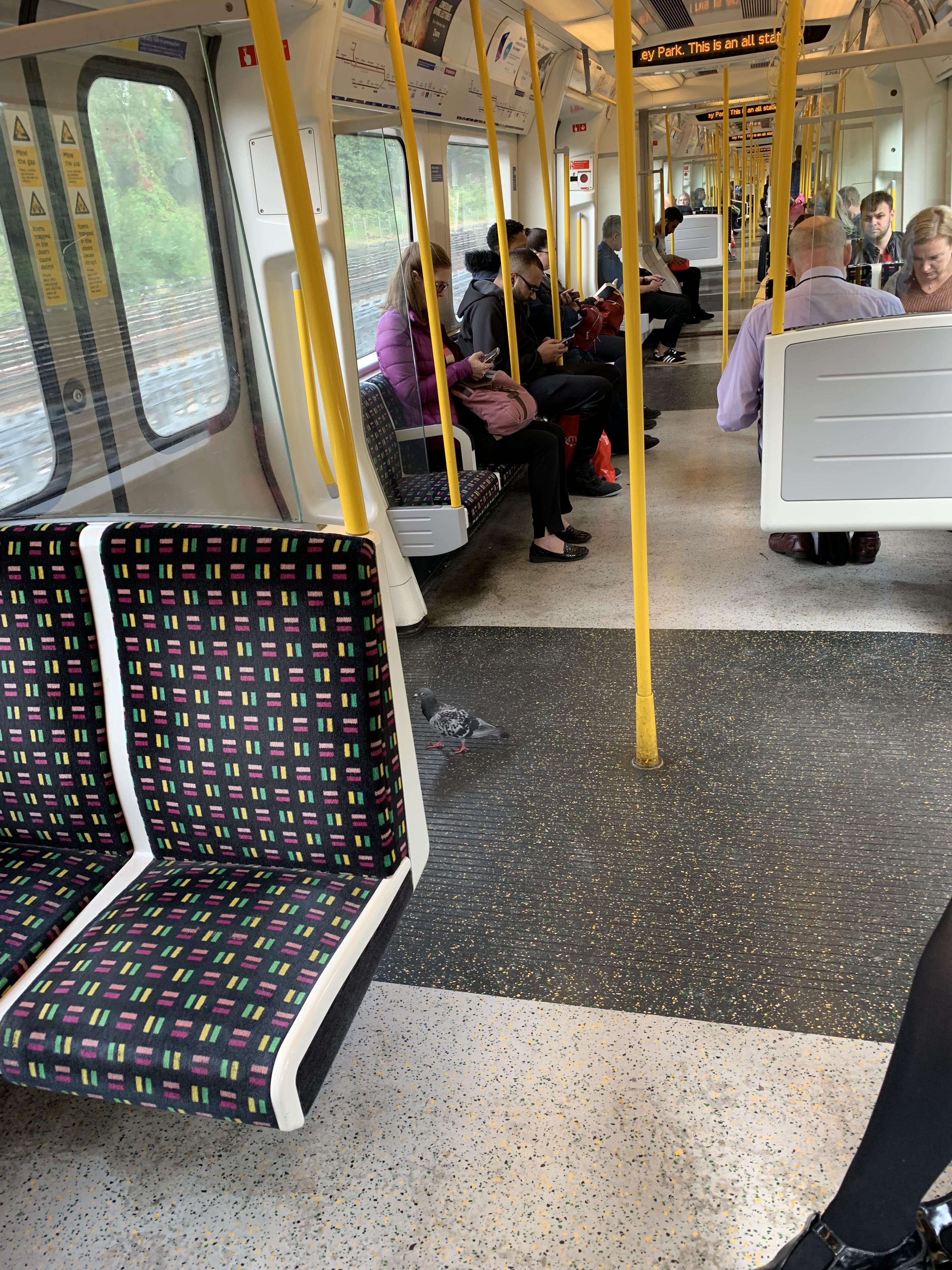 Jus’ chillin | Scrolller