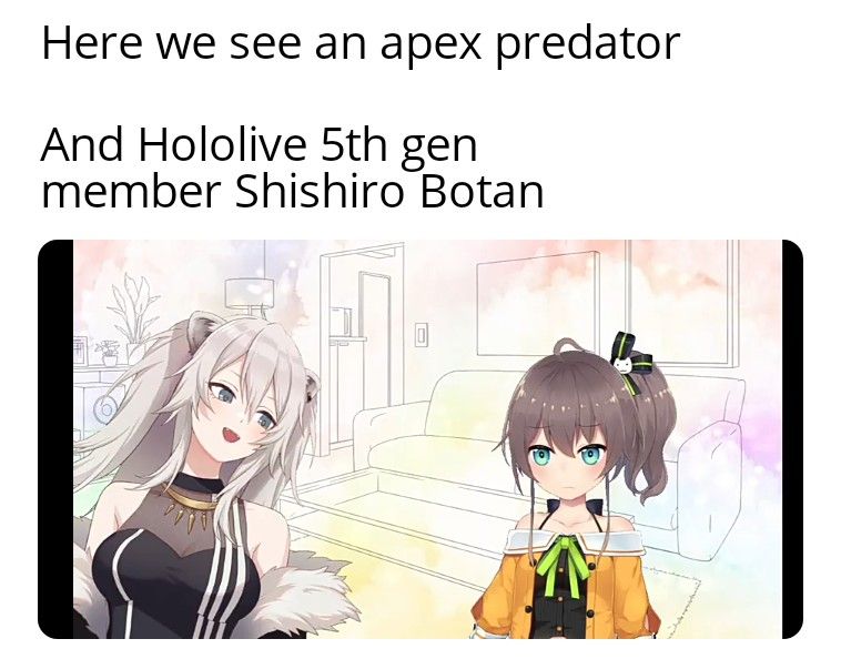 Just 2 cute predators | Scrolller