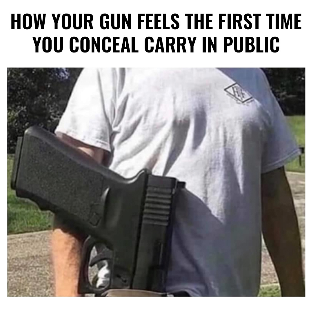 Just a conceal carry meme | Scrolller