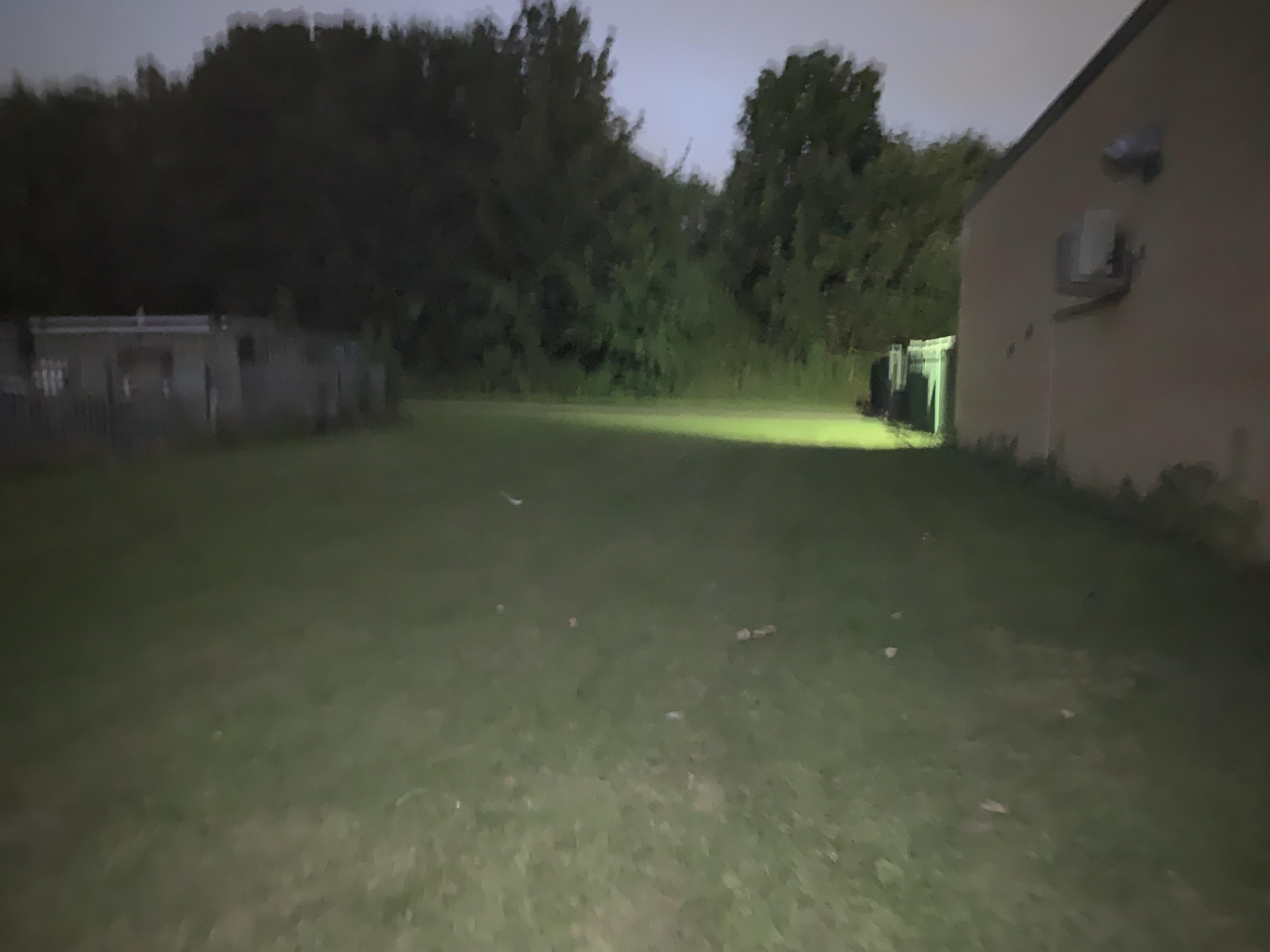 Just a dark, grassy alley. | Scrolller