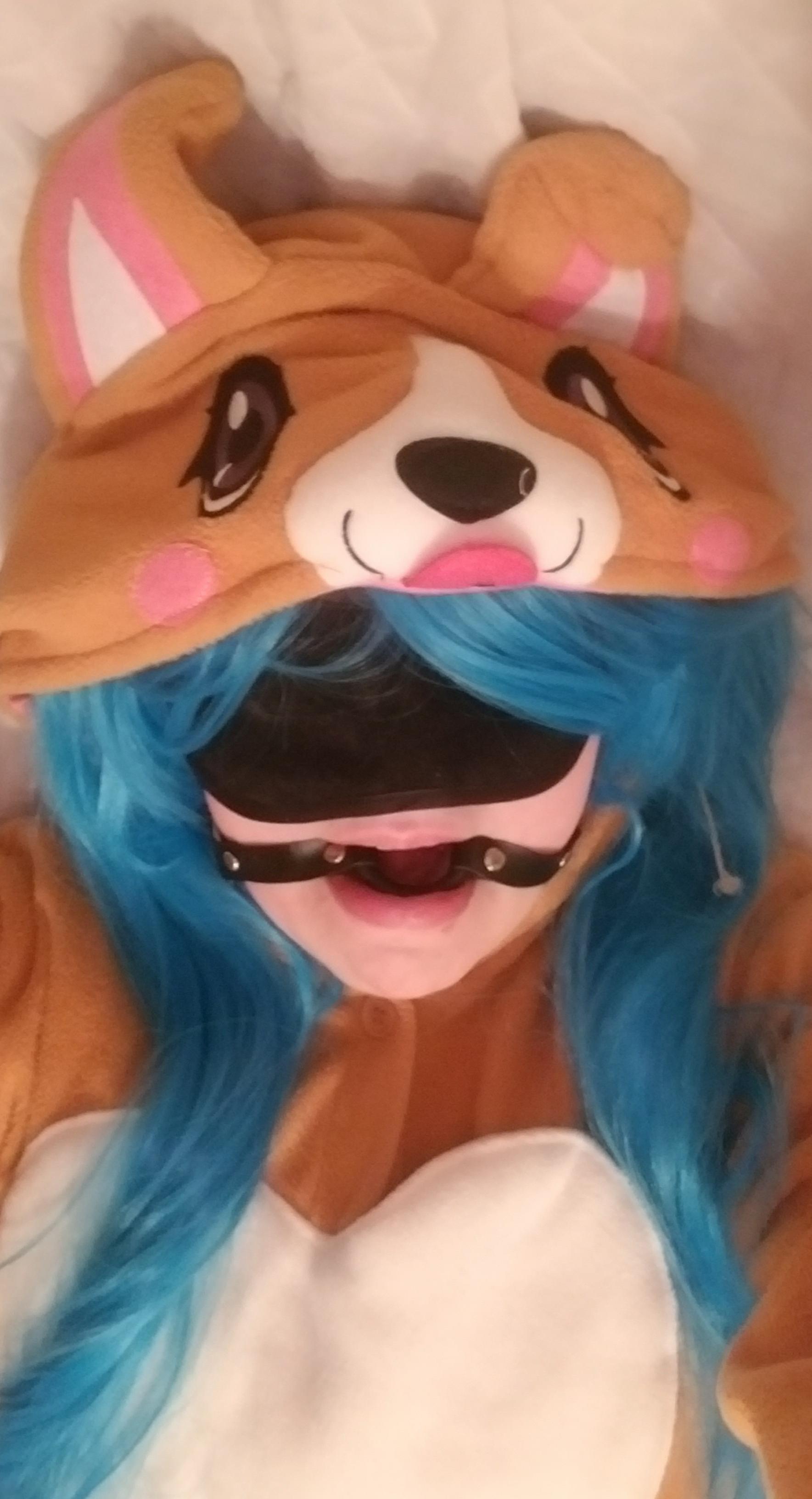 Just a gagged little sissy [OC] | Scrolller