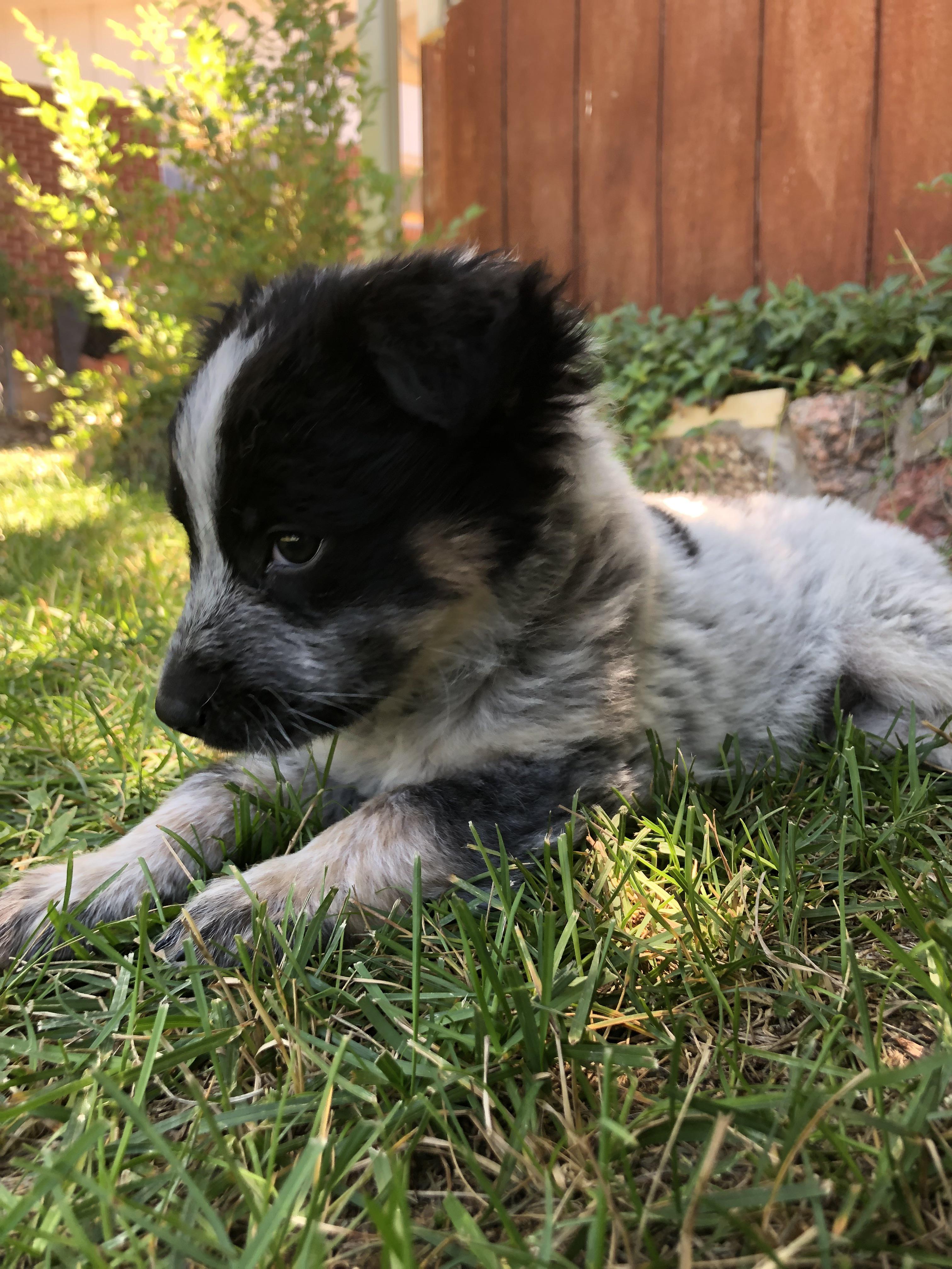 Just a little guy | Scrolller