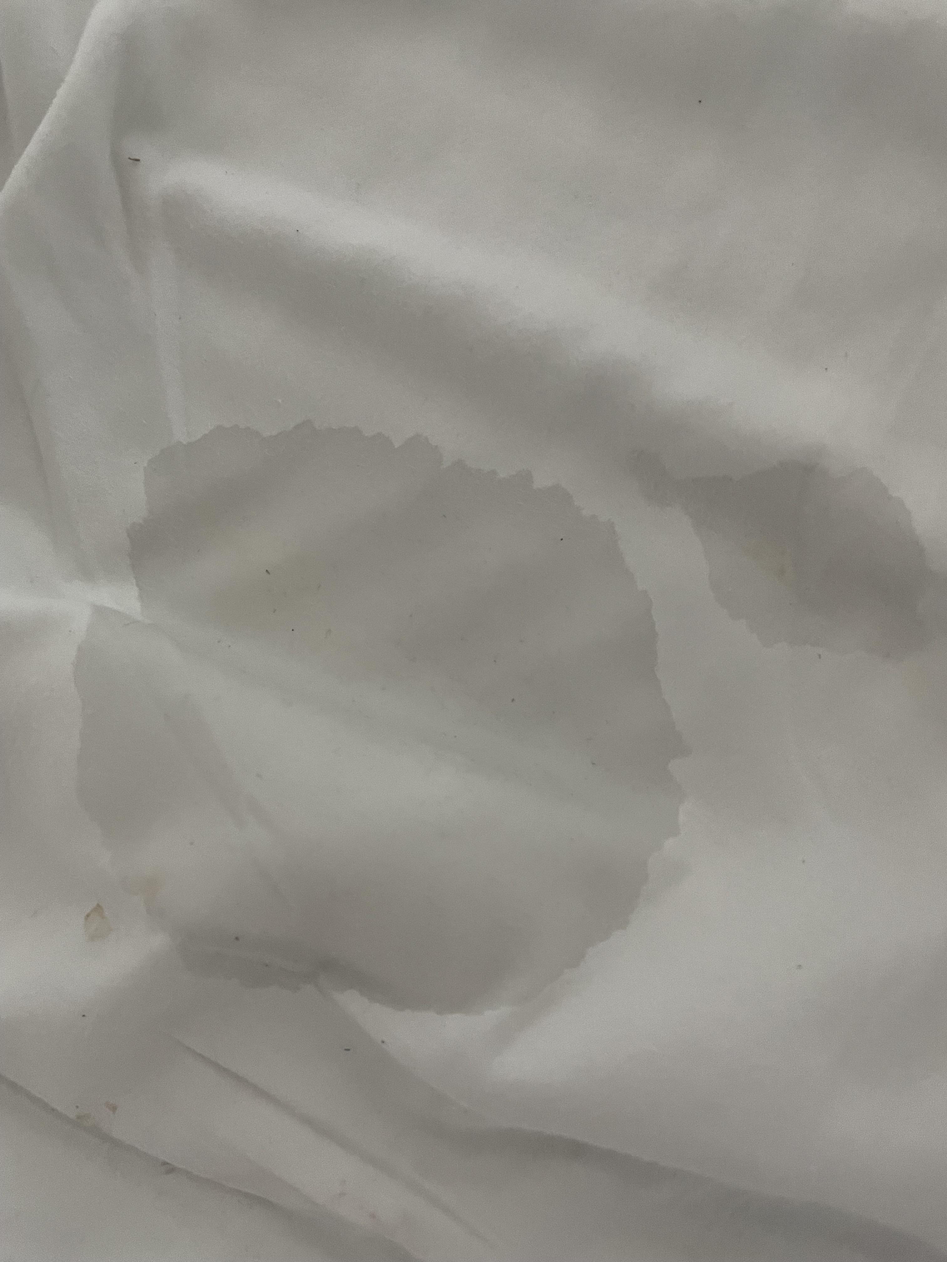 Just came and that was a little puddle | Scrolller