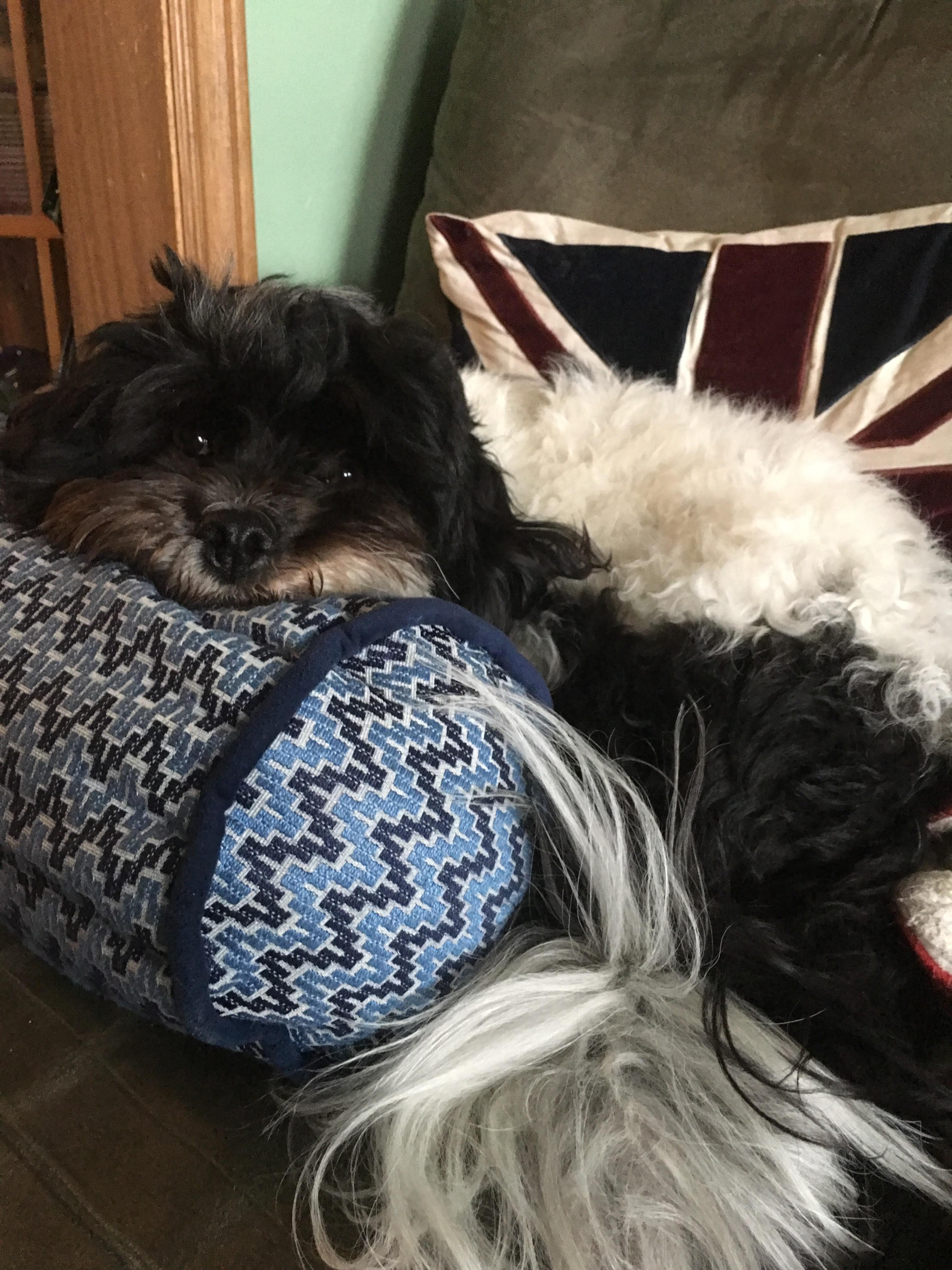 Just chilling | Scrolller