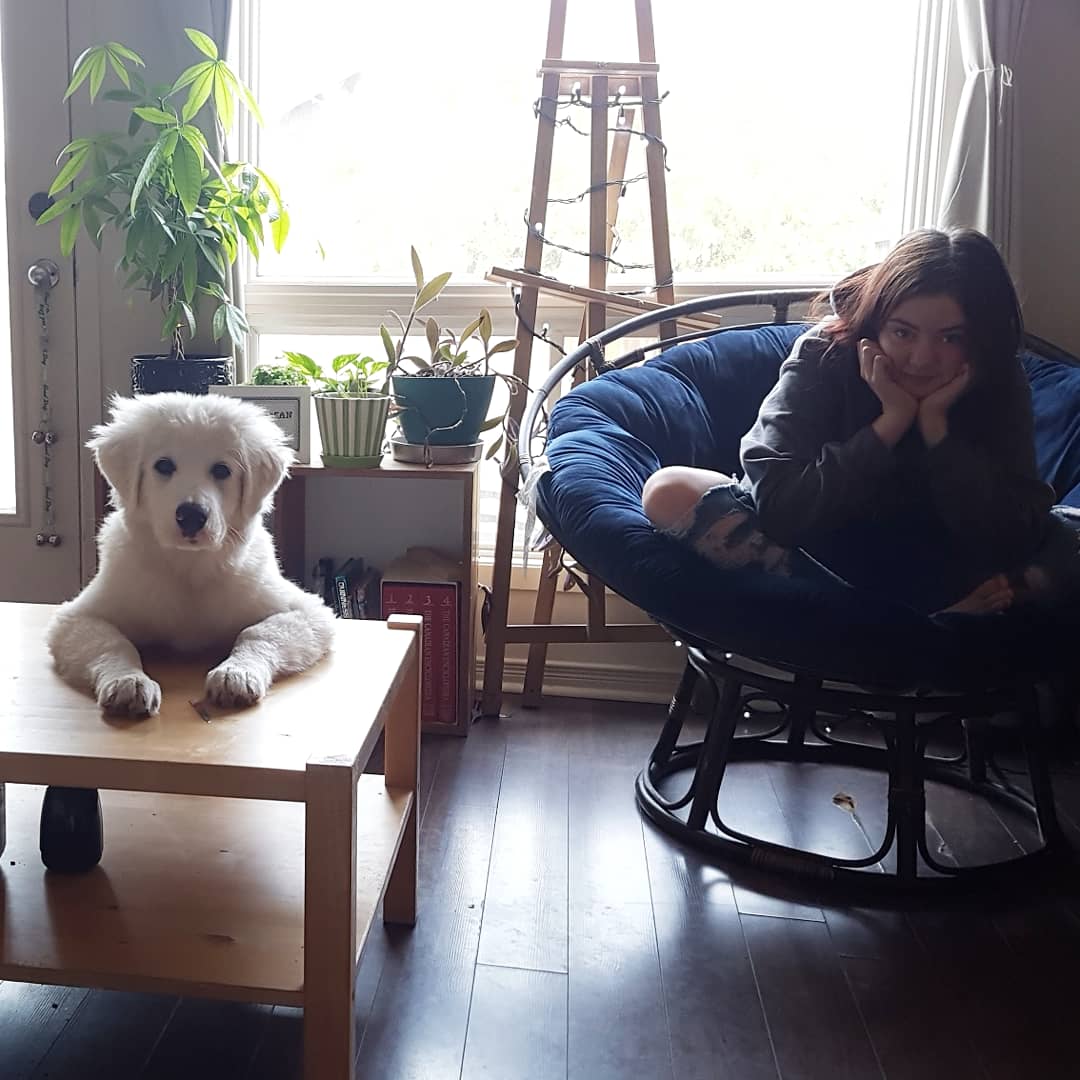 Just chilling | Scrolller