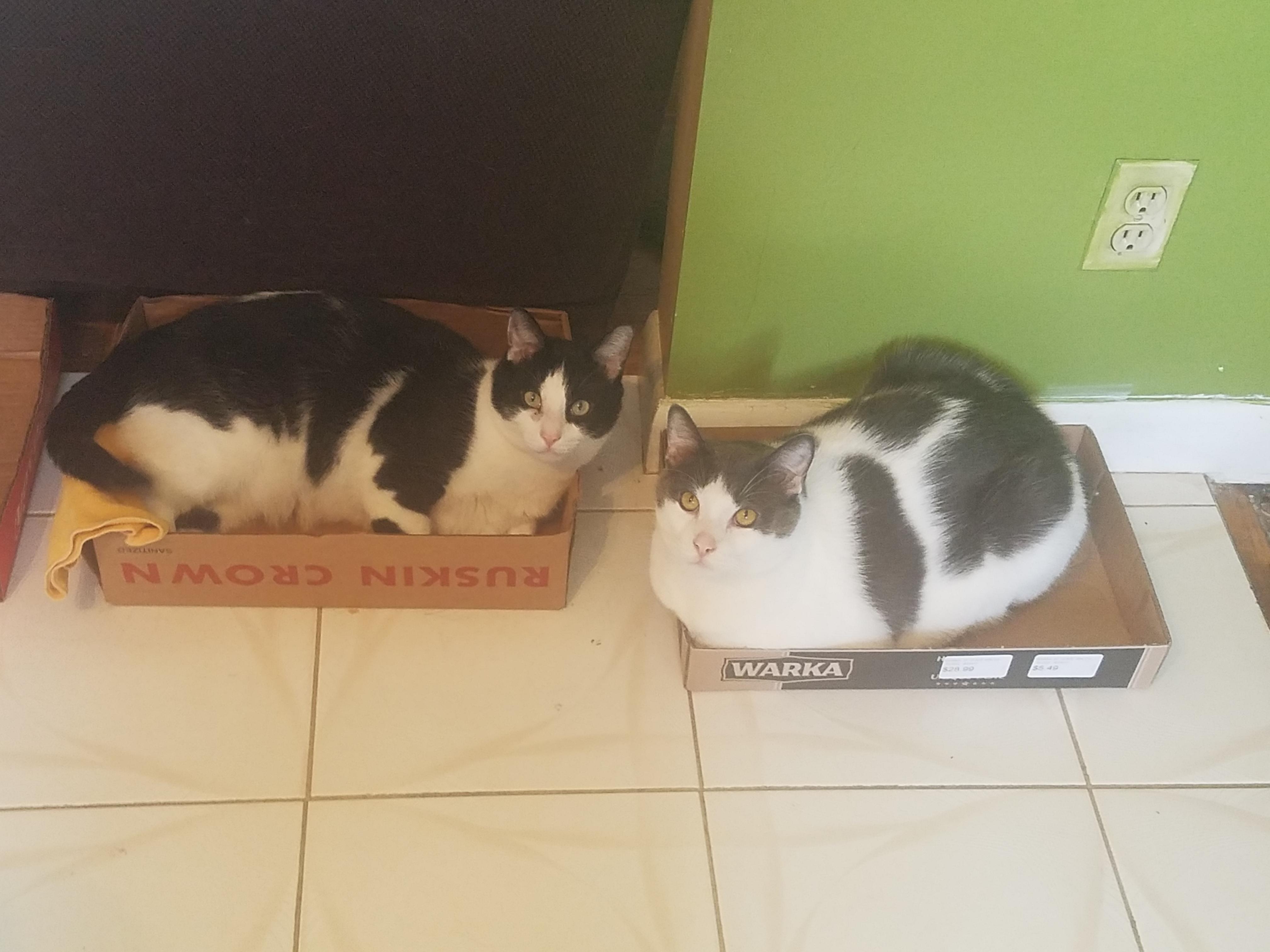 Just chilling | Scrolller