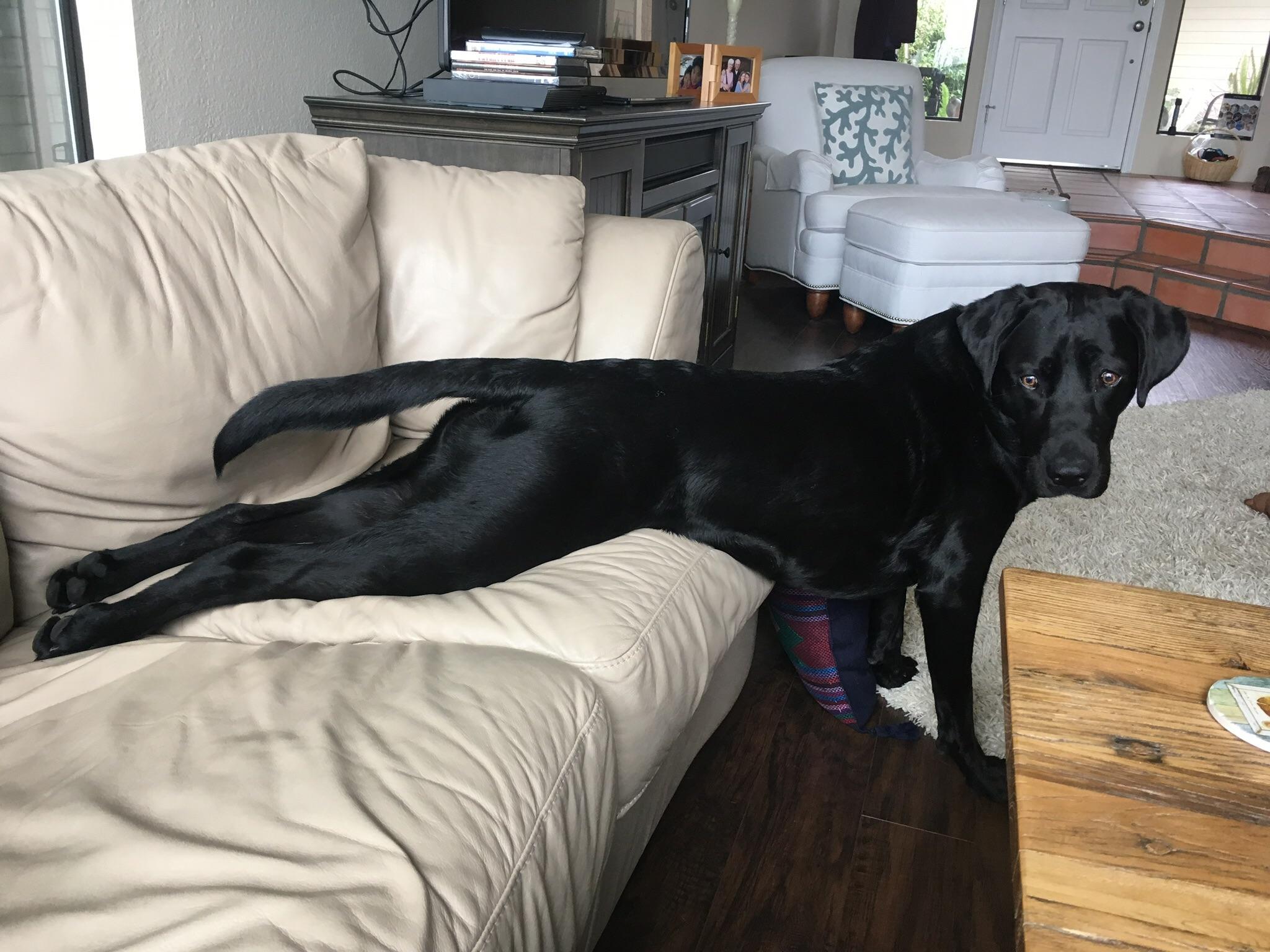 Just chilling | Scrolller